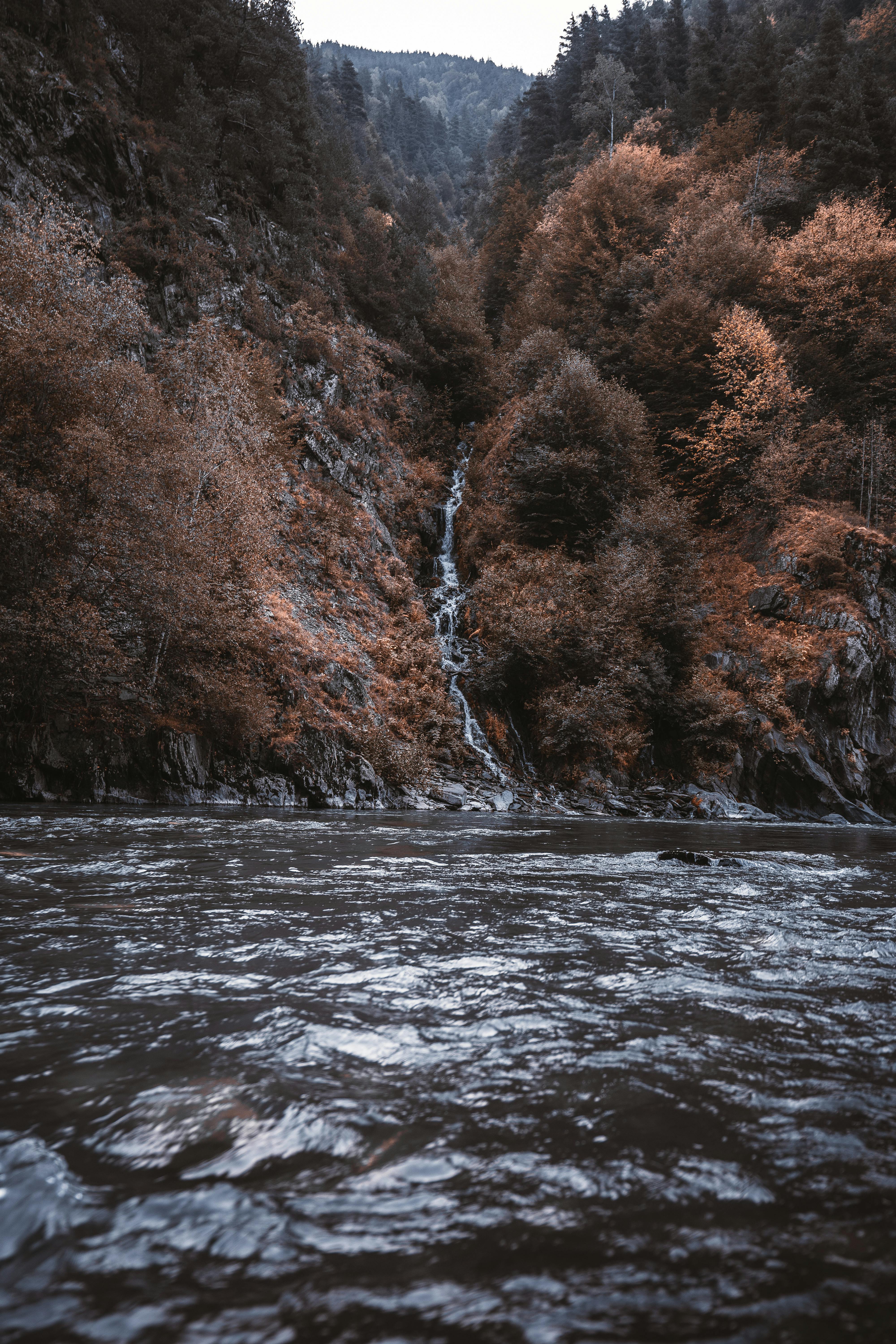 No Copyright Forest Water Fall Music Photos, Download The BEST Free No ...