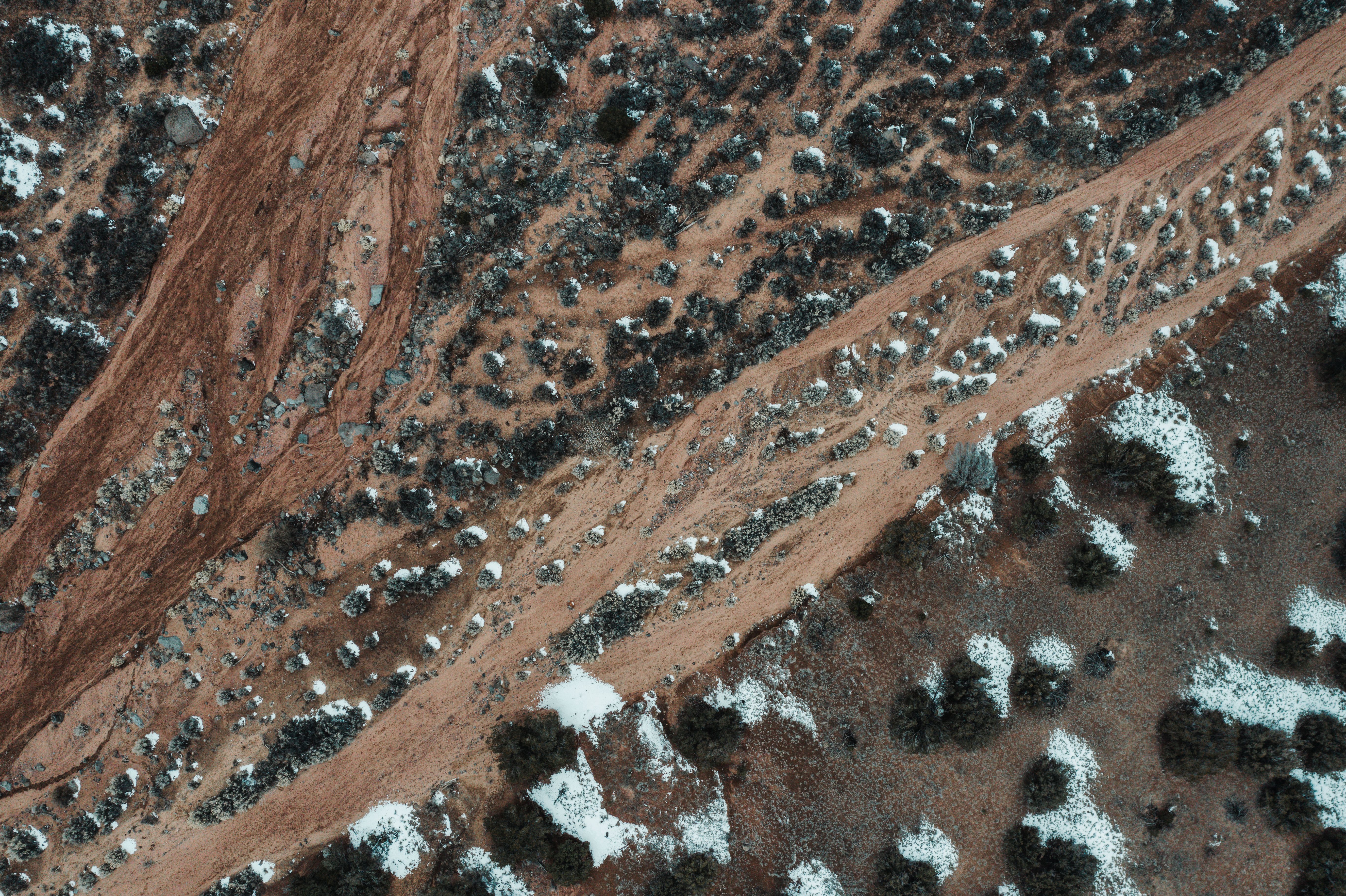 Aerial Footage of Bushes Pattern, and the Soil · Free Stock Photo