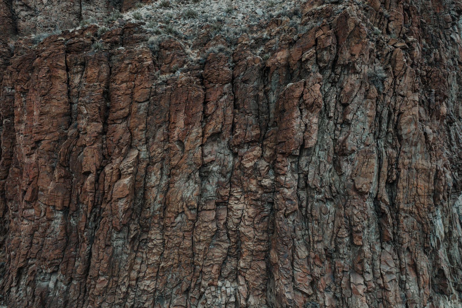 Not Texture Photos, Download The BEST Free Not Texture Stock Photos ...