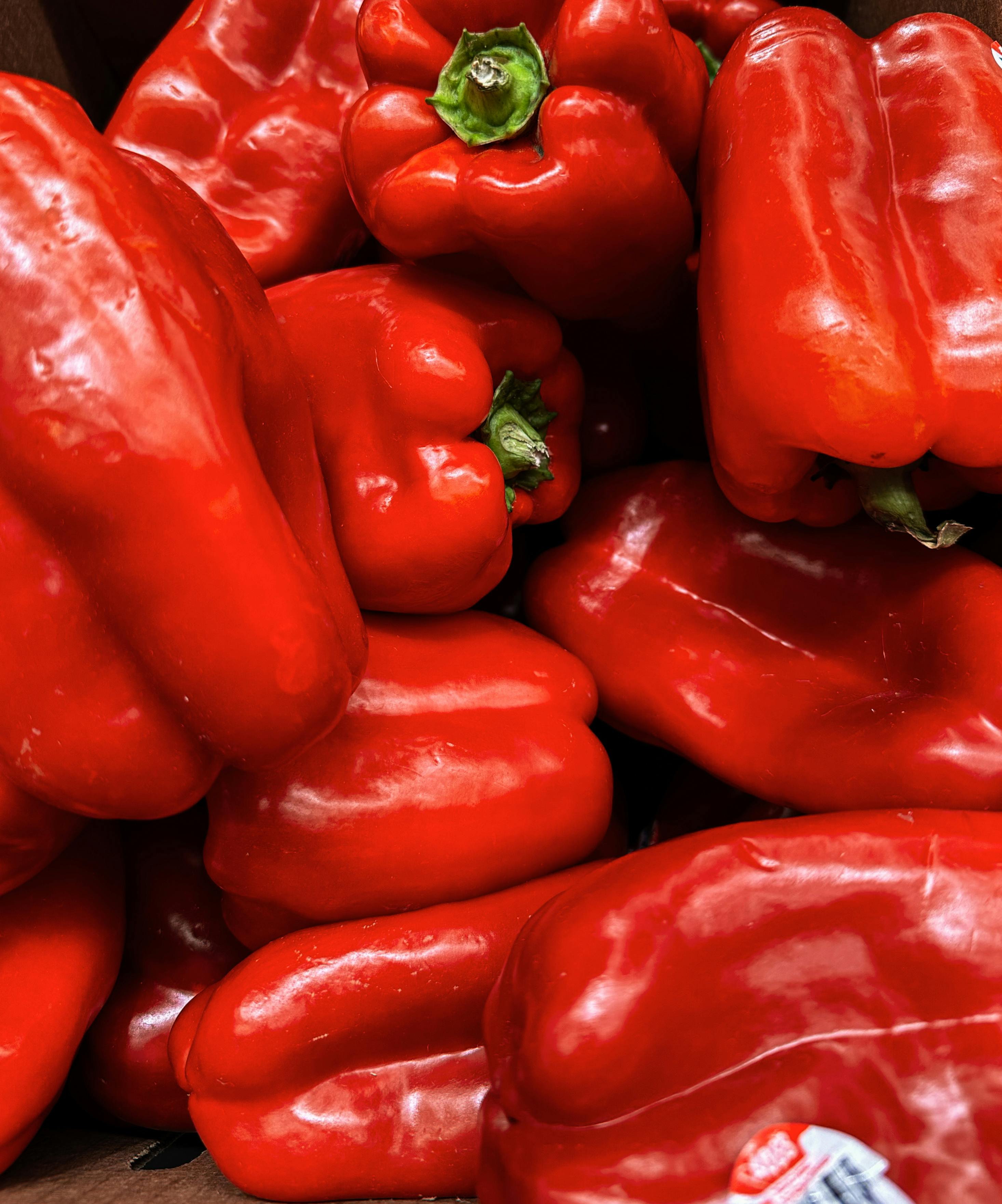 Red Chili Pepper · Free Stock Photo