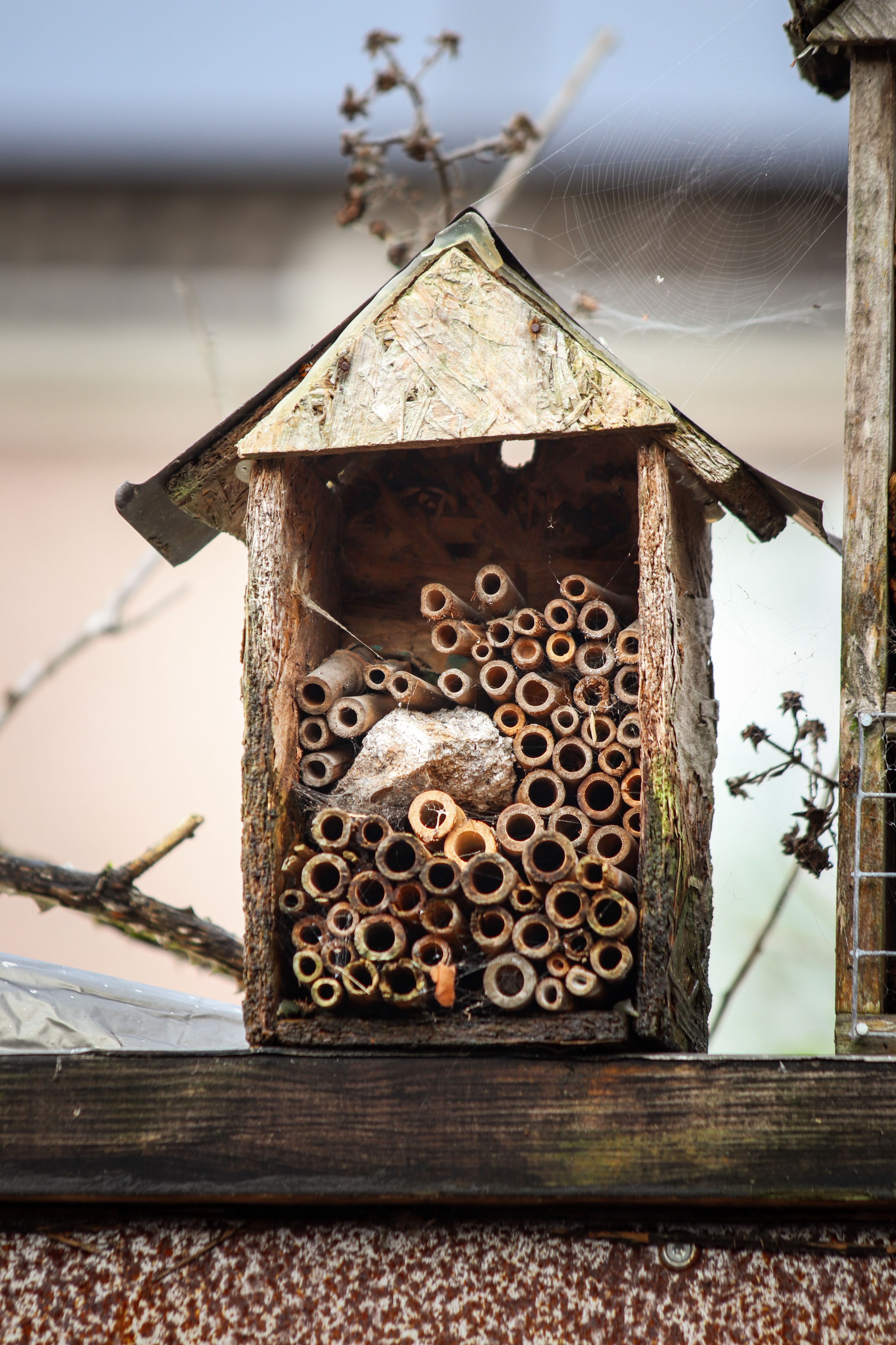 An Insect Hotel · Free Stock Photo