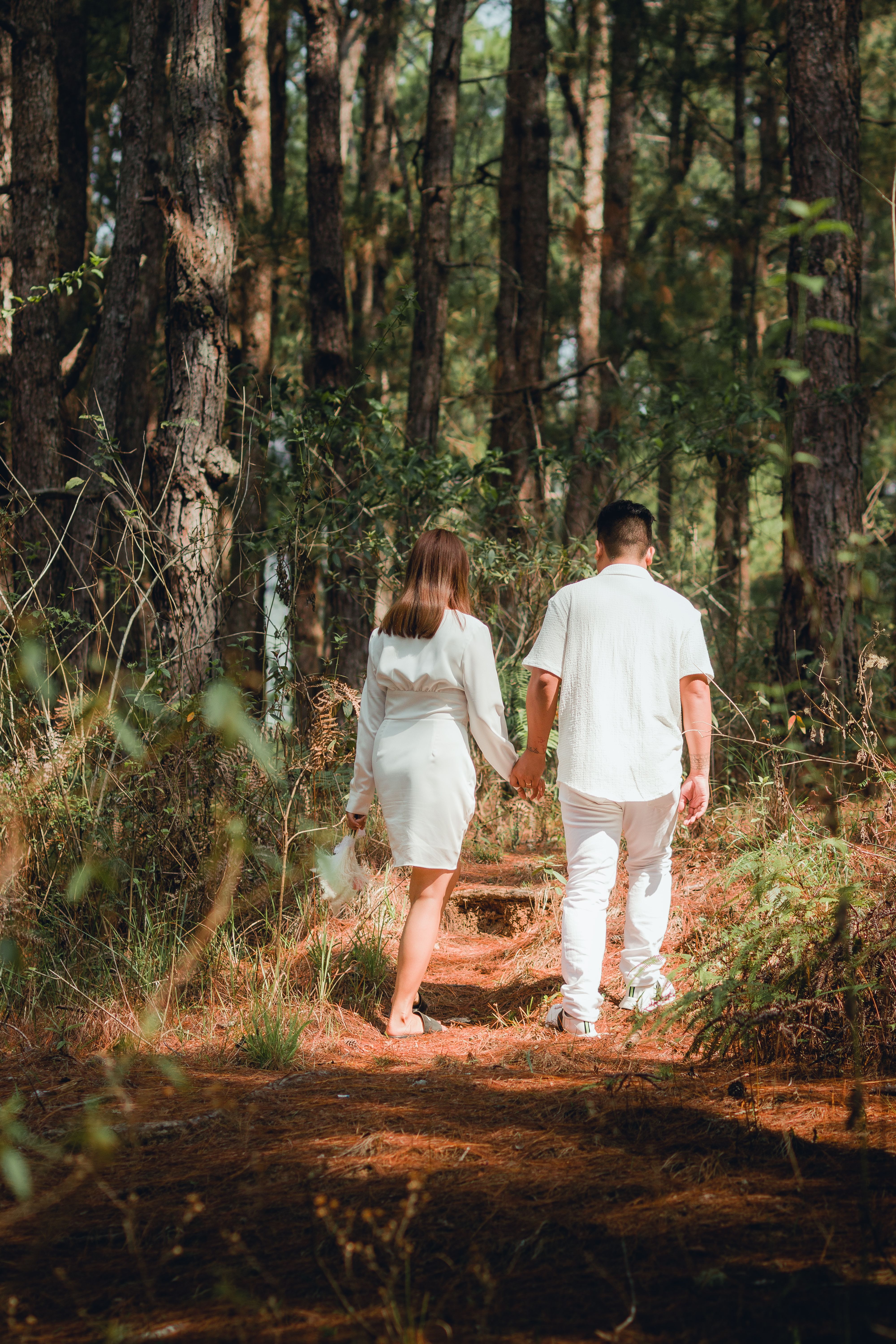 Back View of Couple Walking in Forest · Free Stock Photo