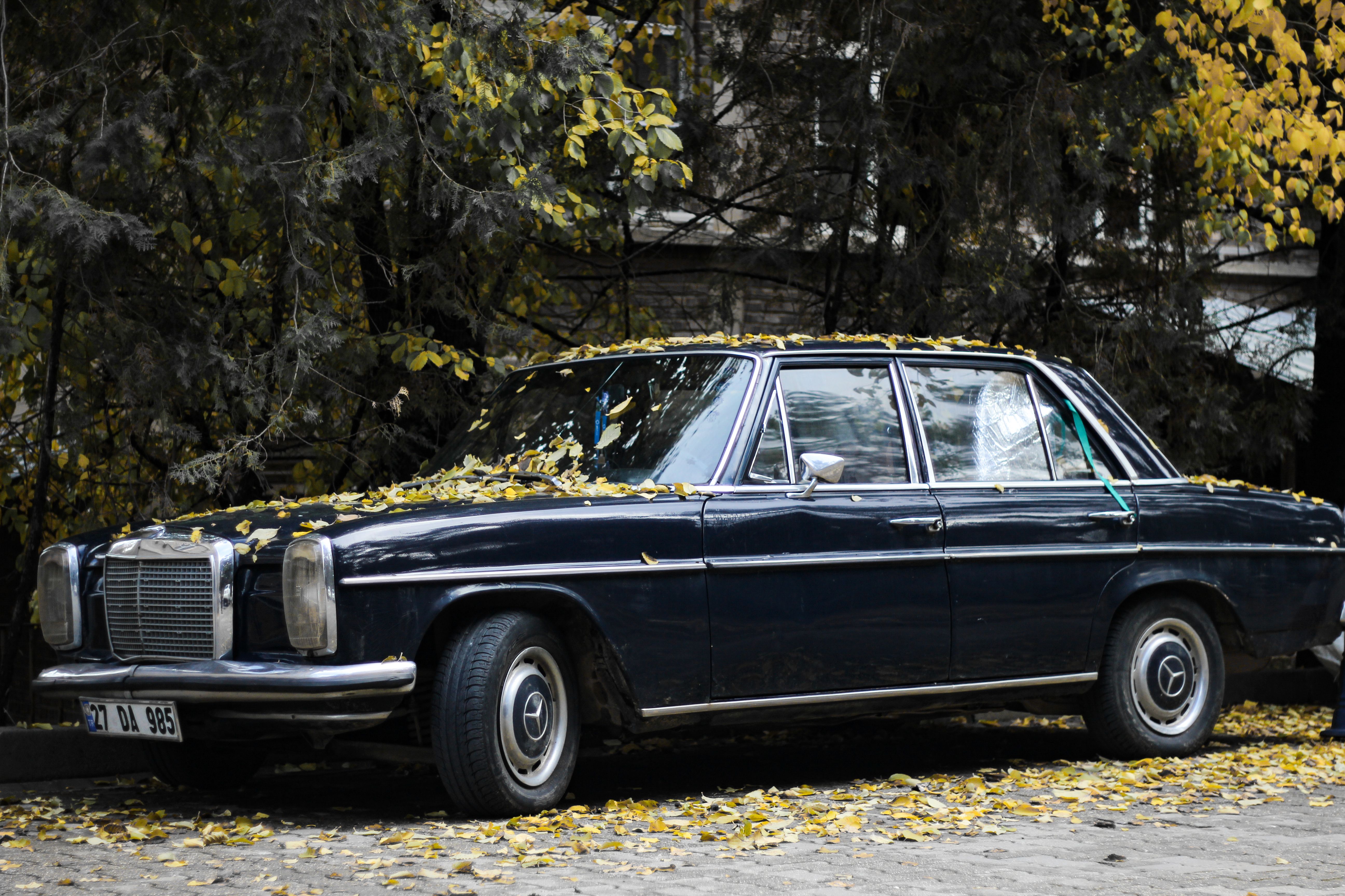 A Mercedes-Benz W114 Parked under Autumnal Trees · Free Stock Photo