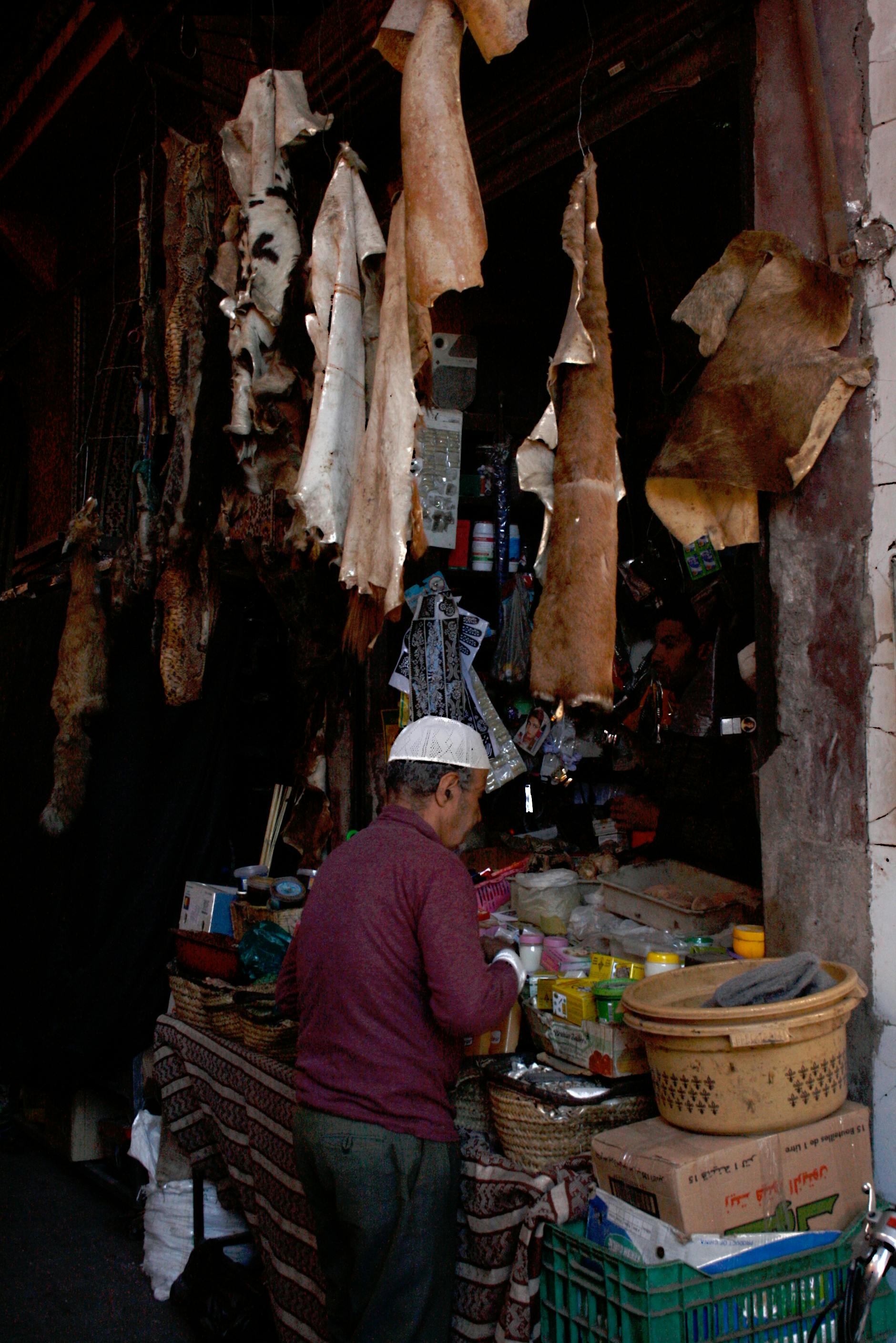 Trade Animal Skin Photos, Download The BEST Free Trade Animal Skin ...