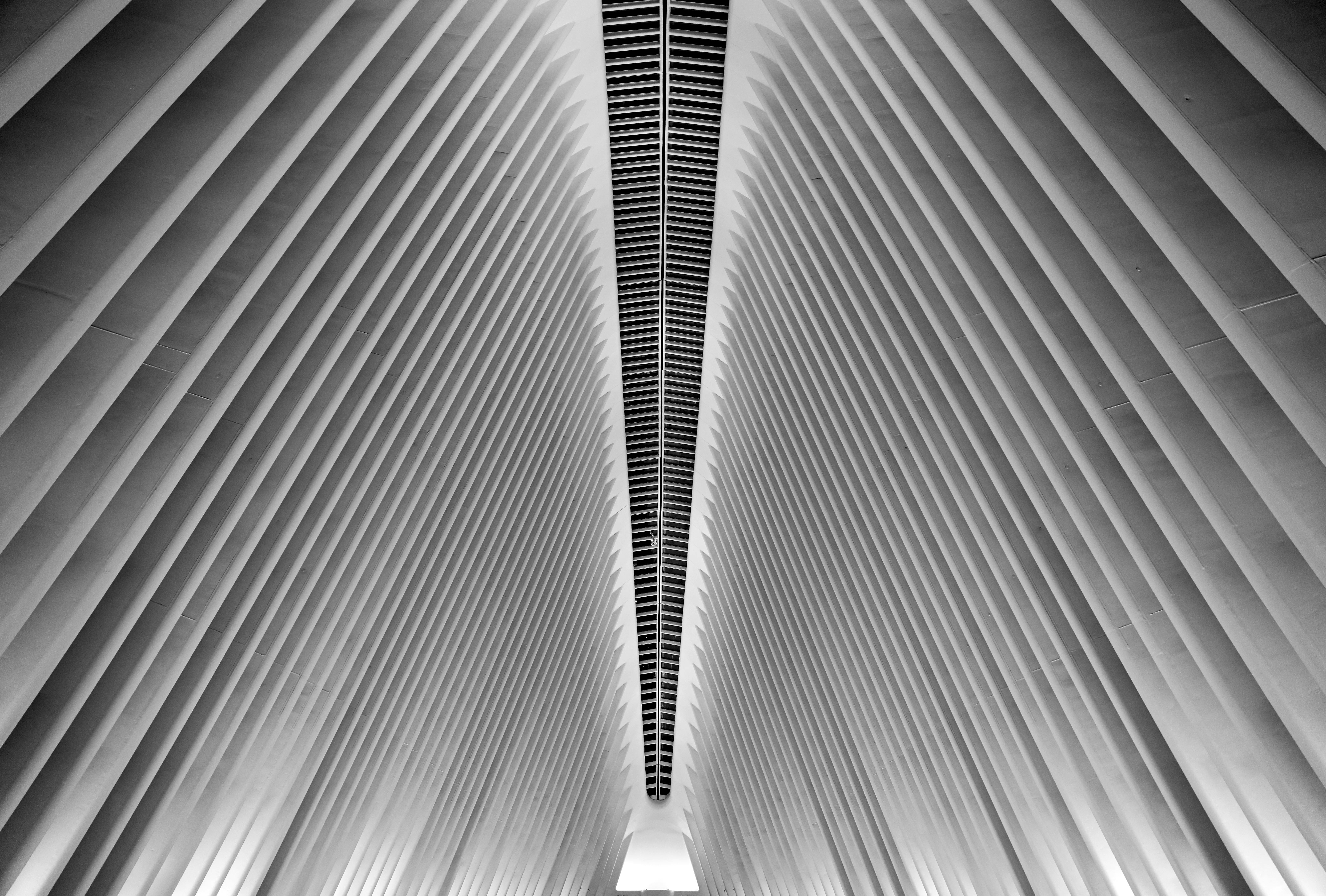 Ceiling in World Trade Trade Center Path in New York · Free Stock Photo