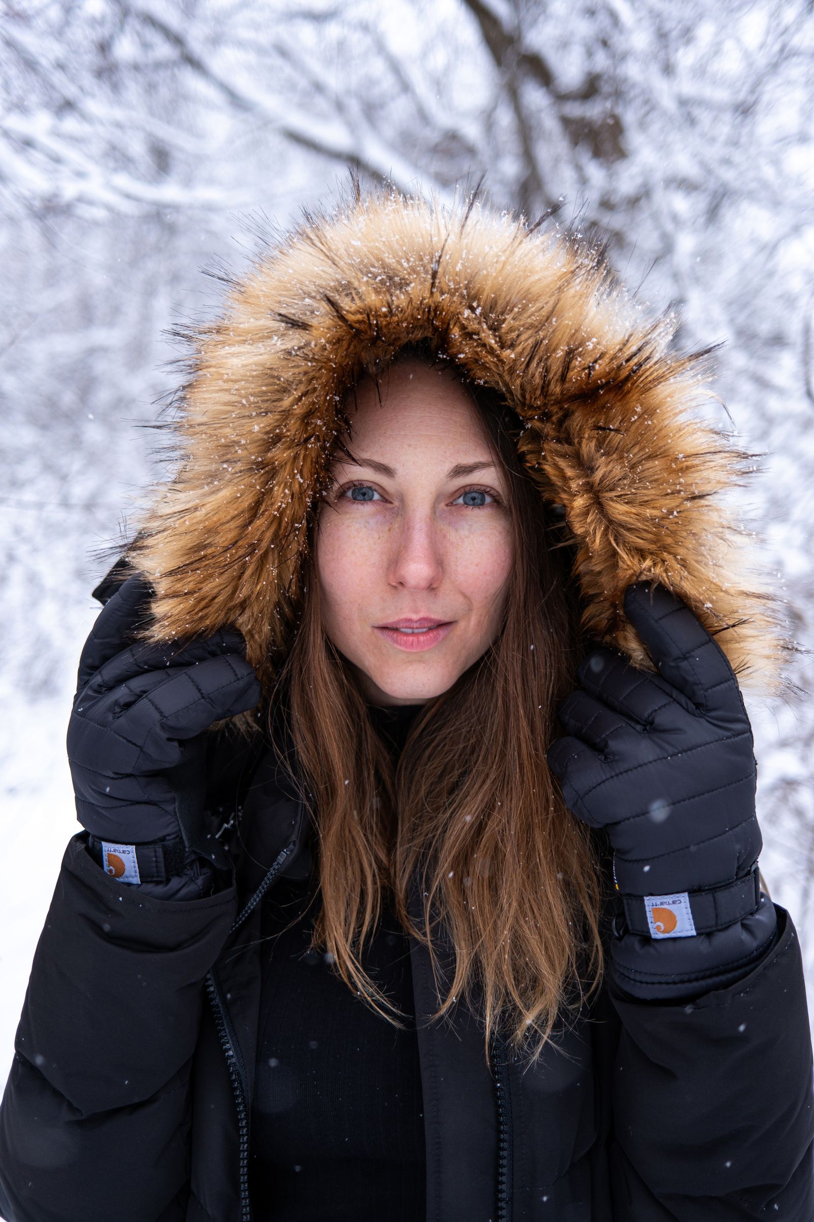 Winter Snow Photos, Download The BEST Free Winter Snow Stock Photos ...