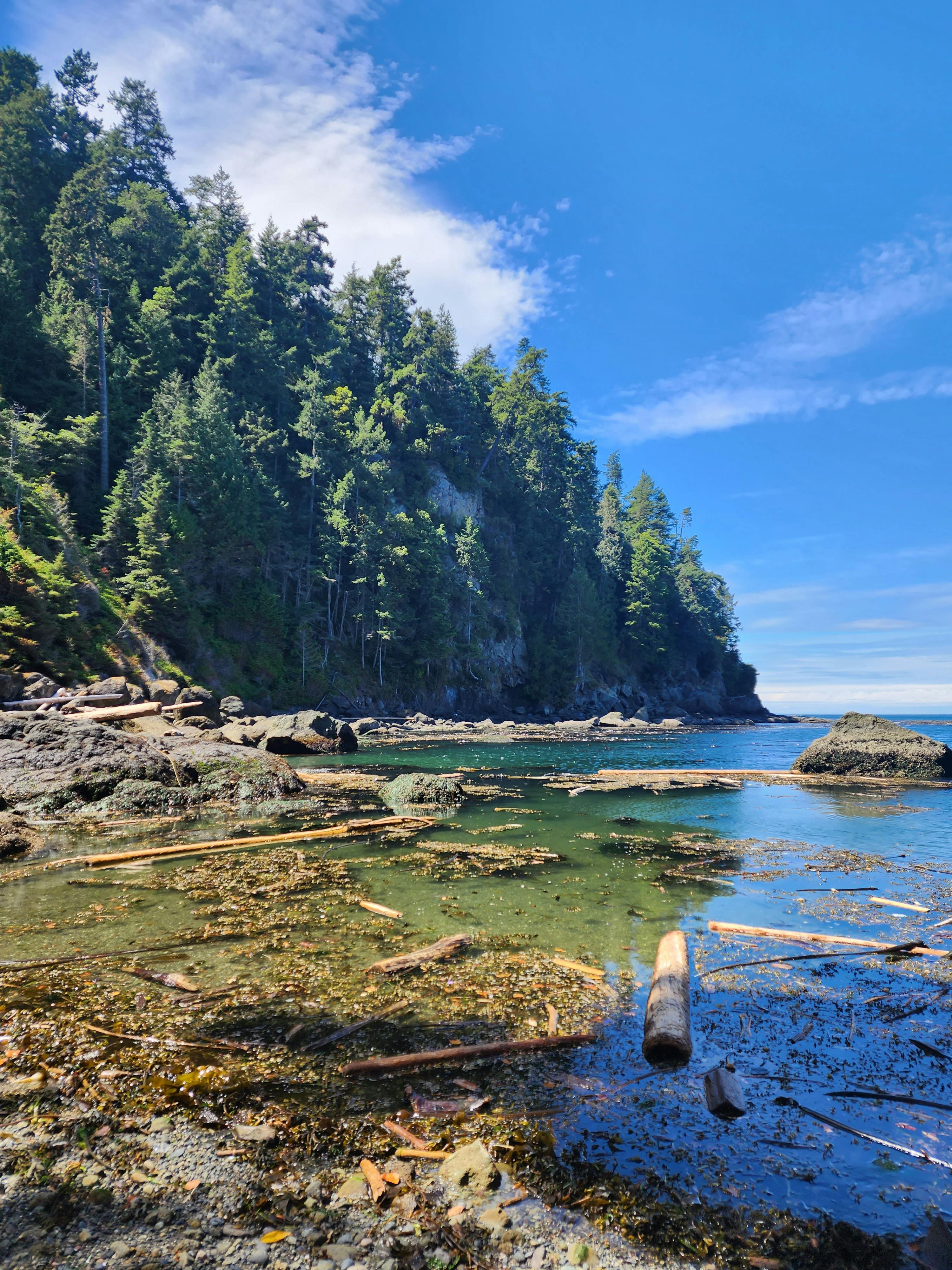 Timothy Varley - Fotografía