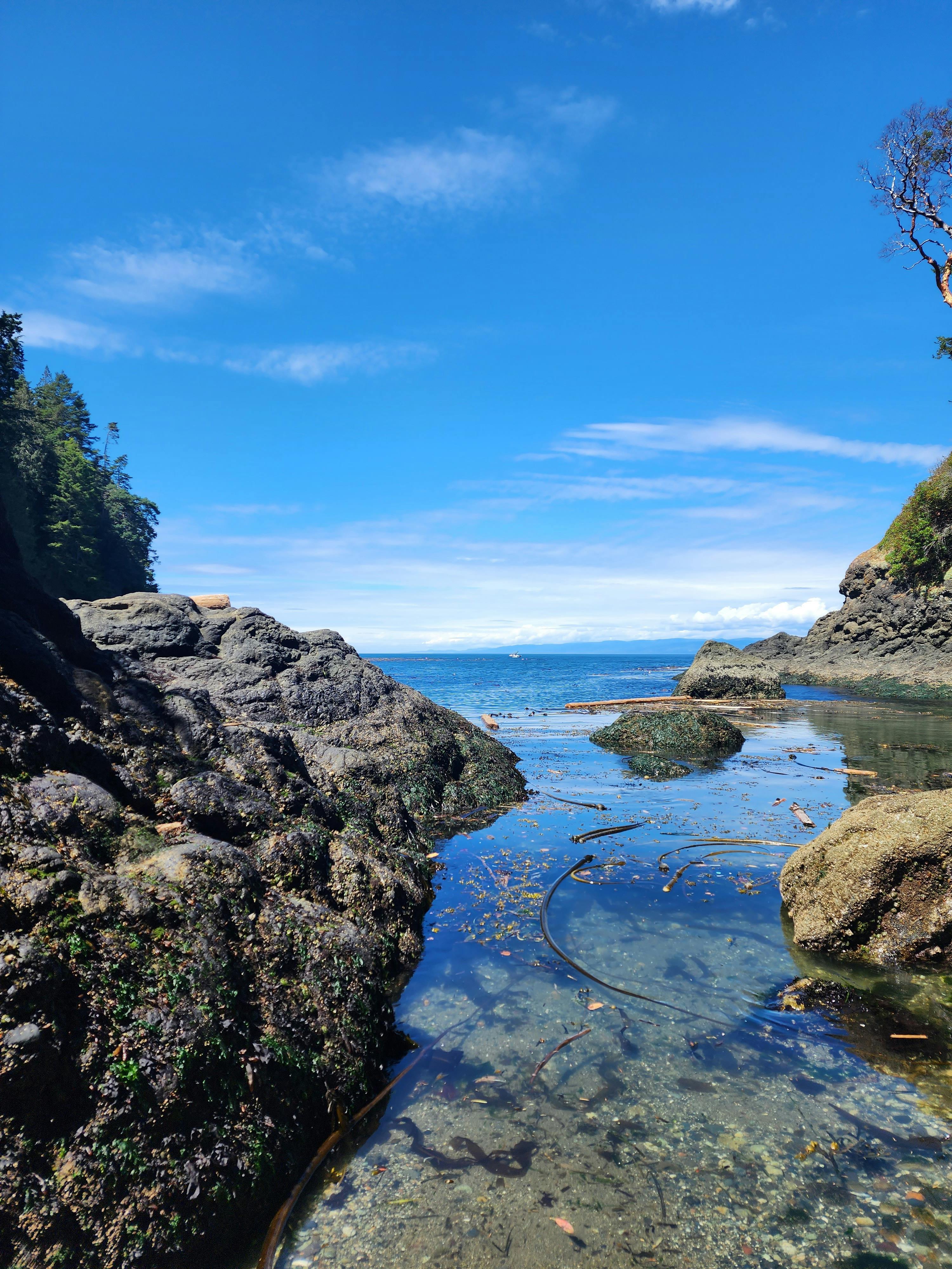 Timothy Varley - 사진