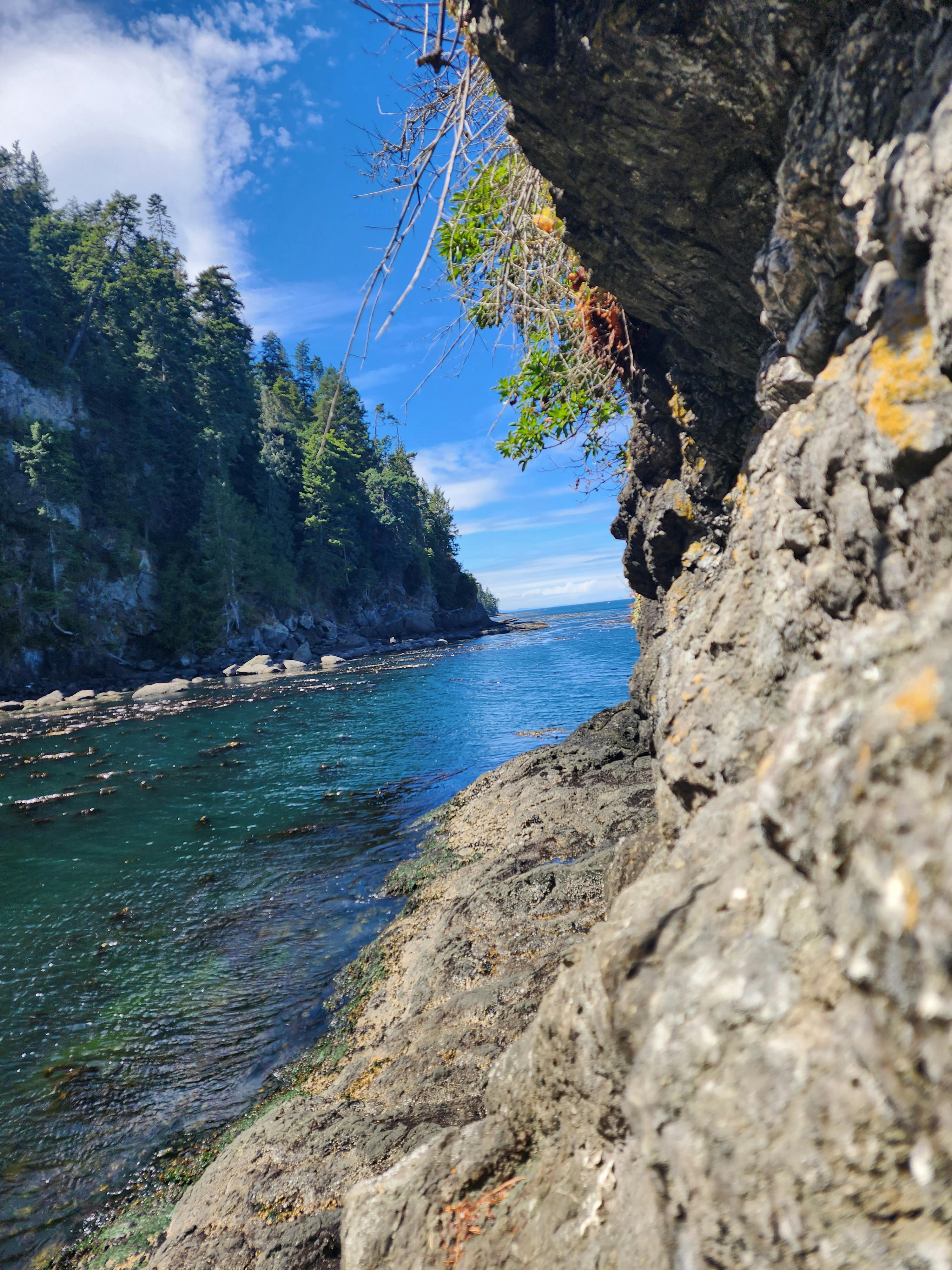 Timothy Varley - 사진