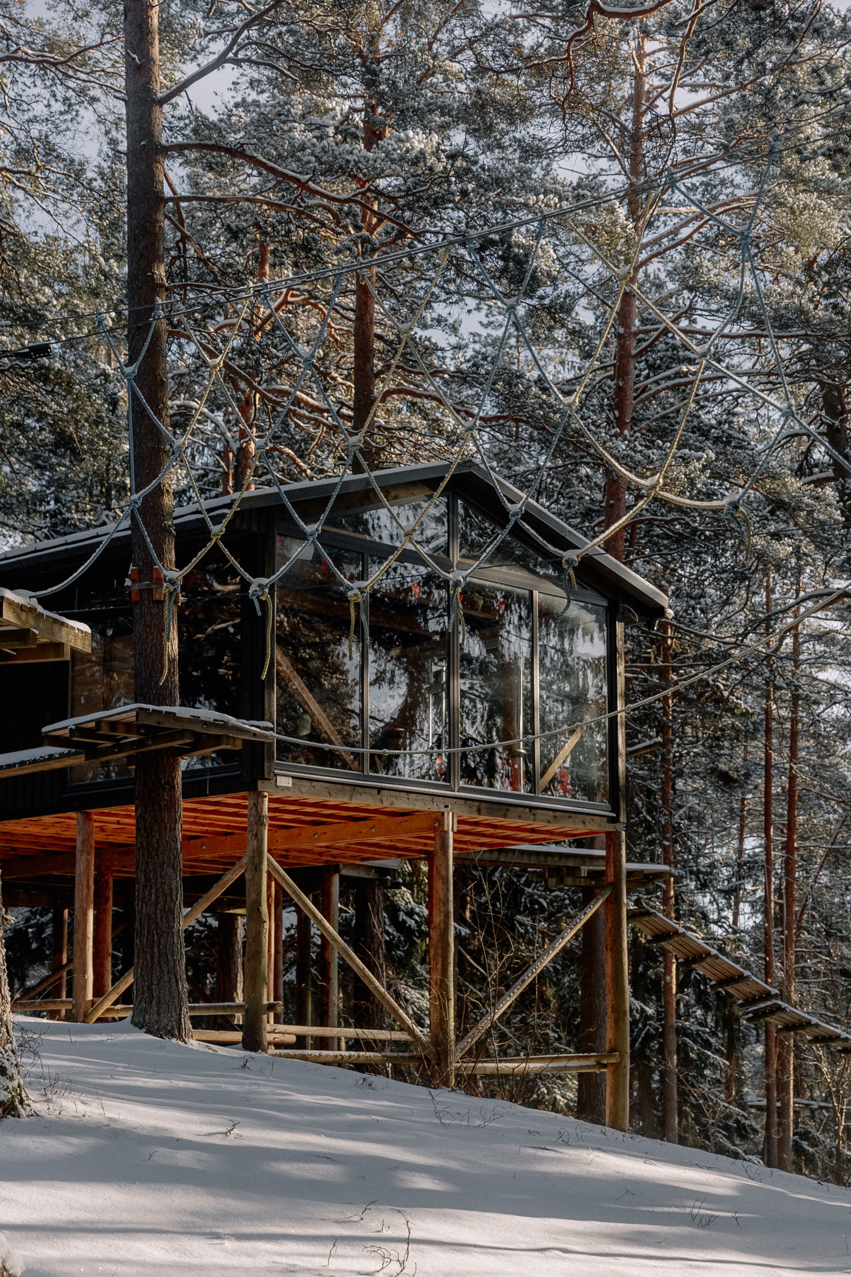 Modern House on Poles in Winter Forest · Free Stock Photo