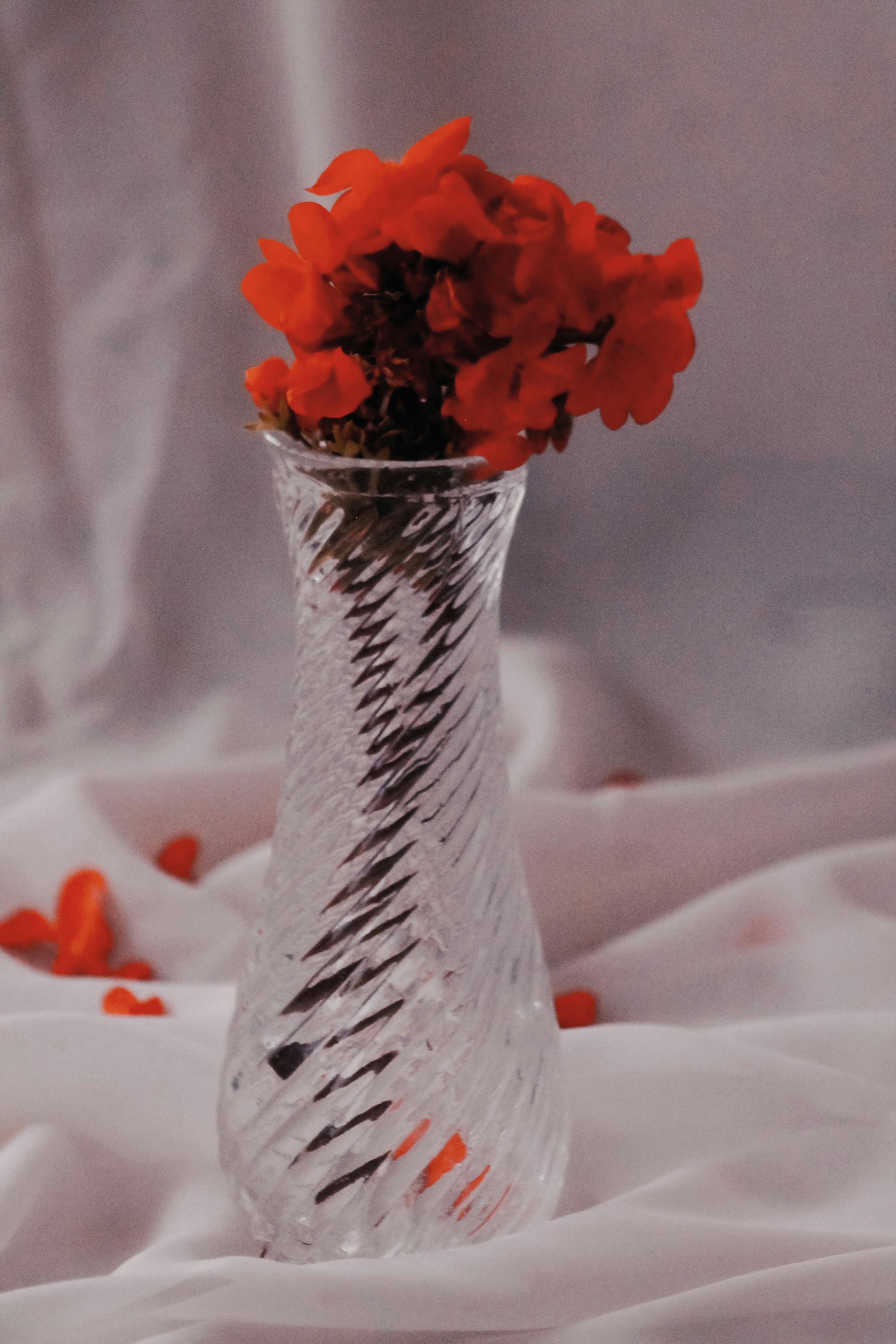 Bouquet of Red Flowers in a Glass Vase · Free Stock Photo