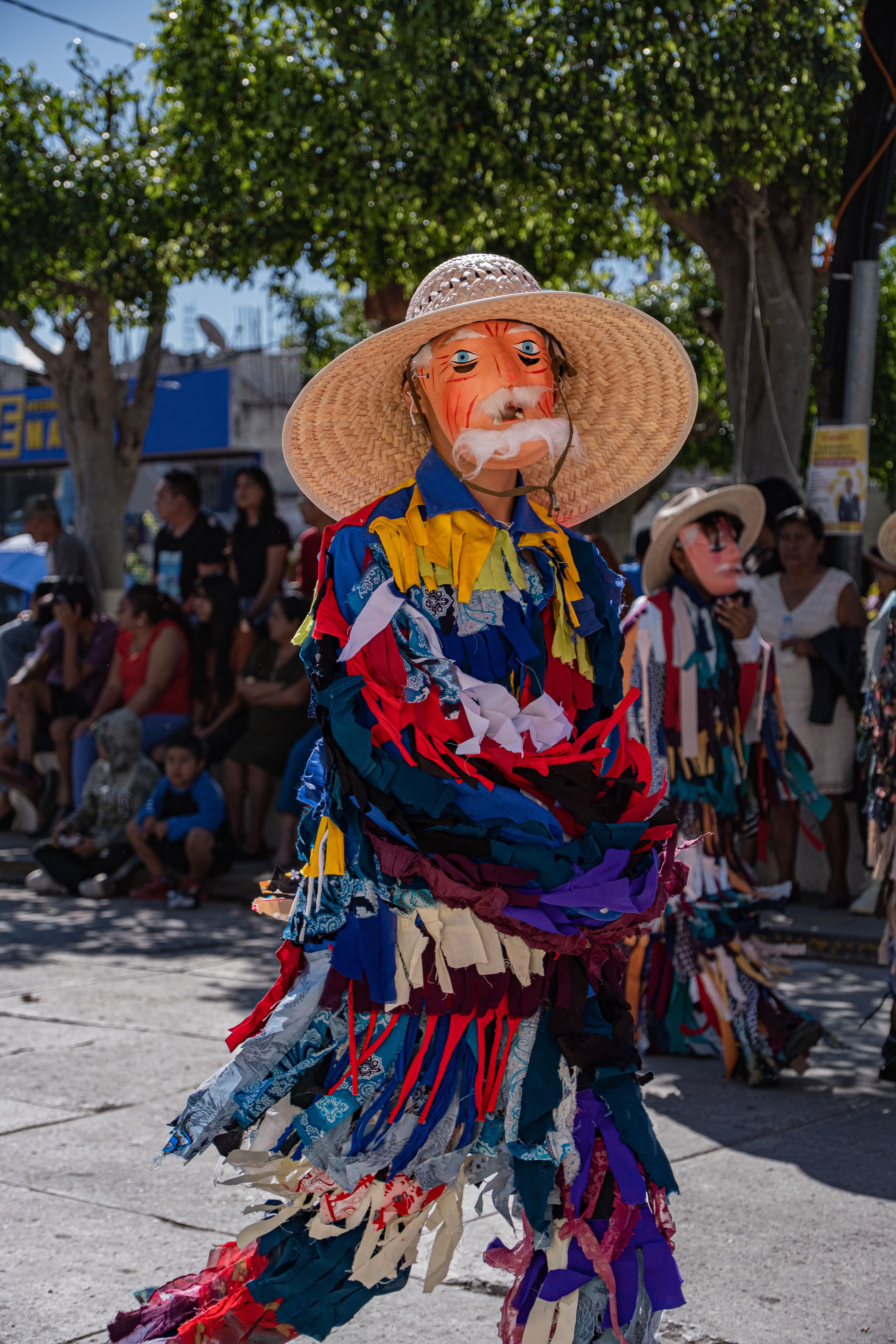 Person Wearing a Motley Carnival Costume, Orange Mask, and a Straw Hat ...