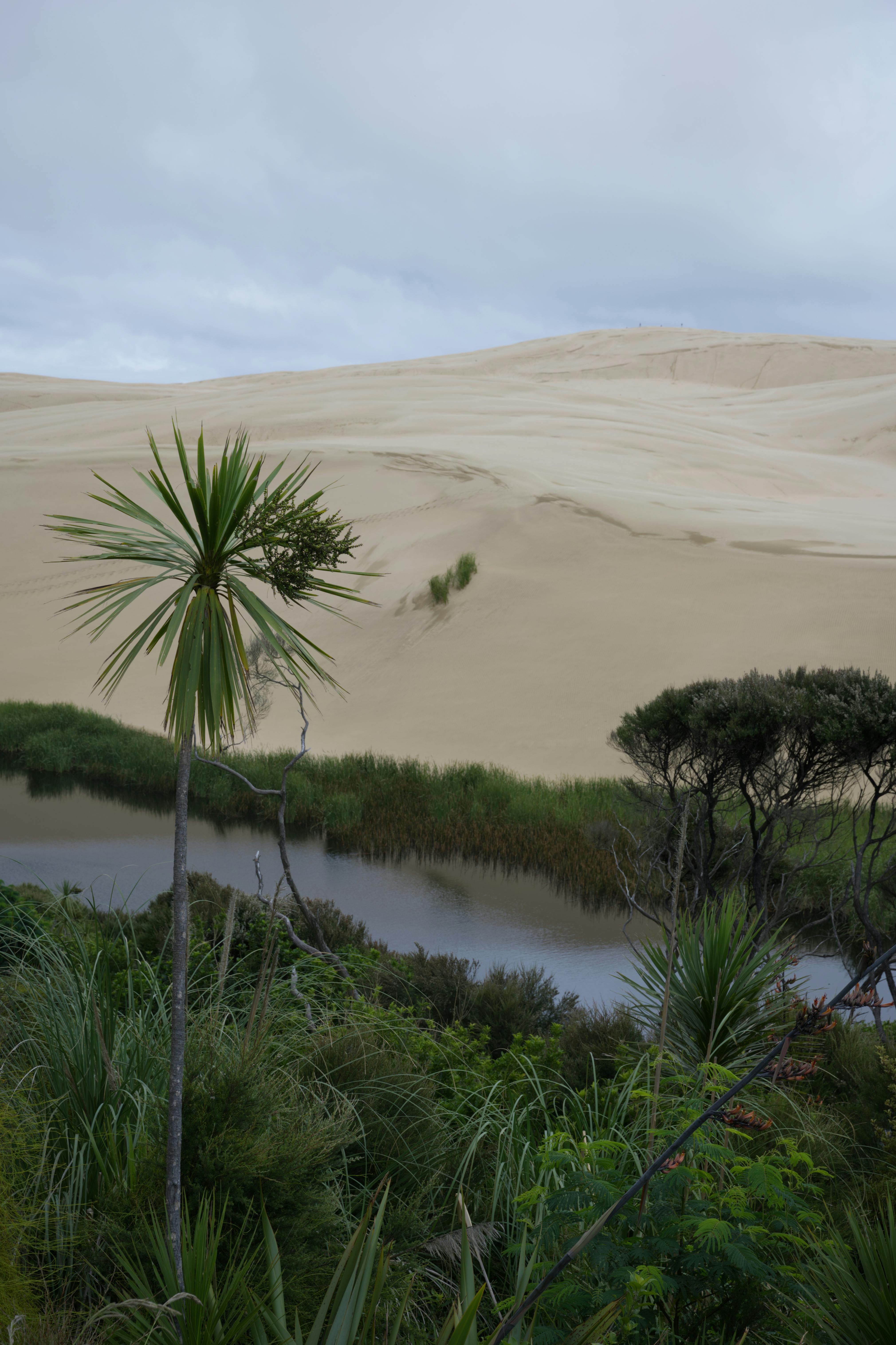 Foto de stock gratuita sobre agua, agua de oasis, al aire libre ...