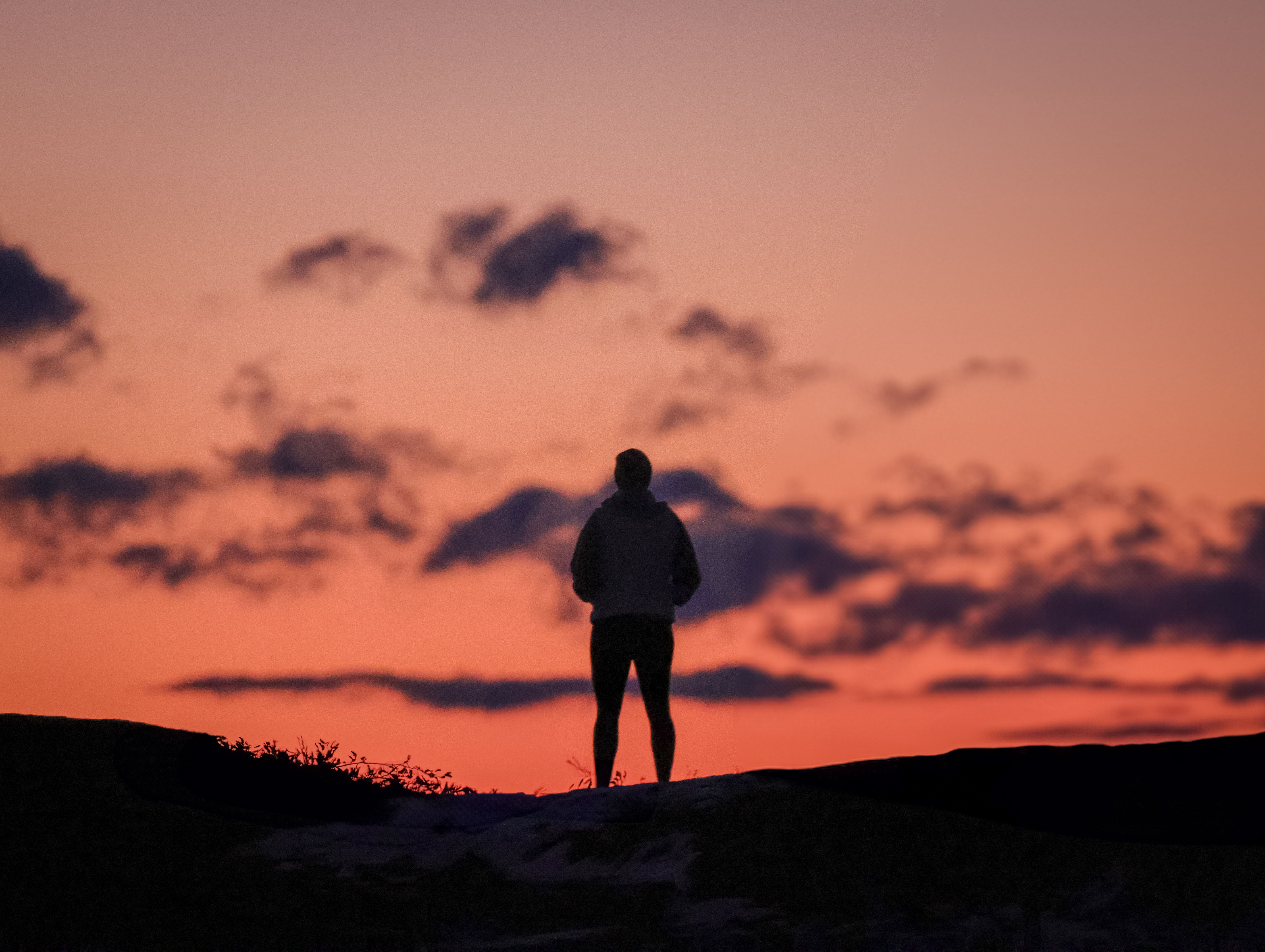 Back View of a Woman Standing on the Background of a Dramatic Sunset ...