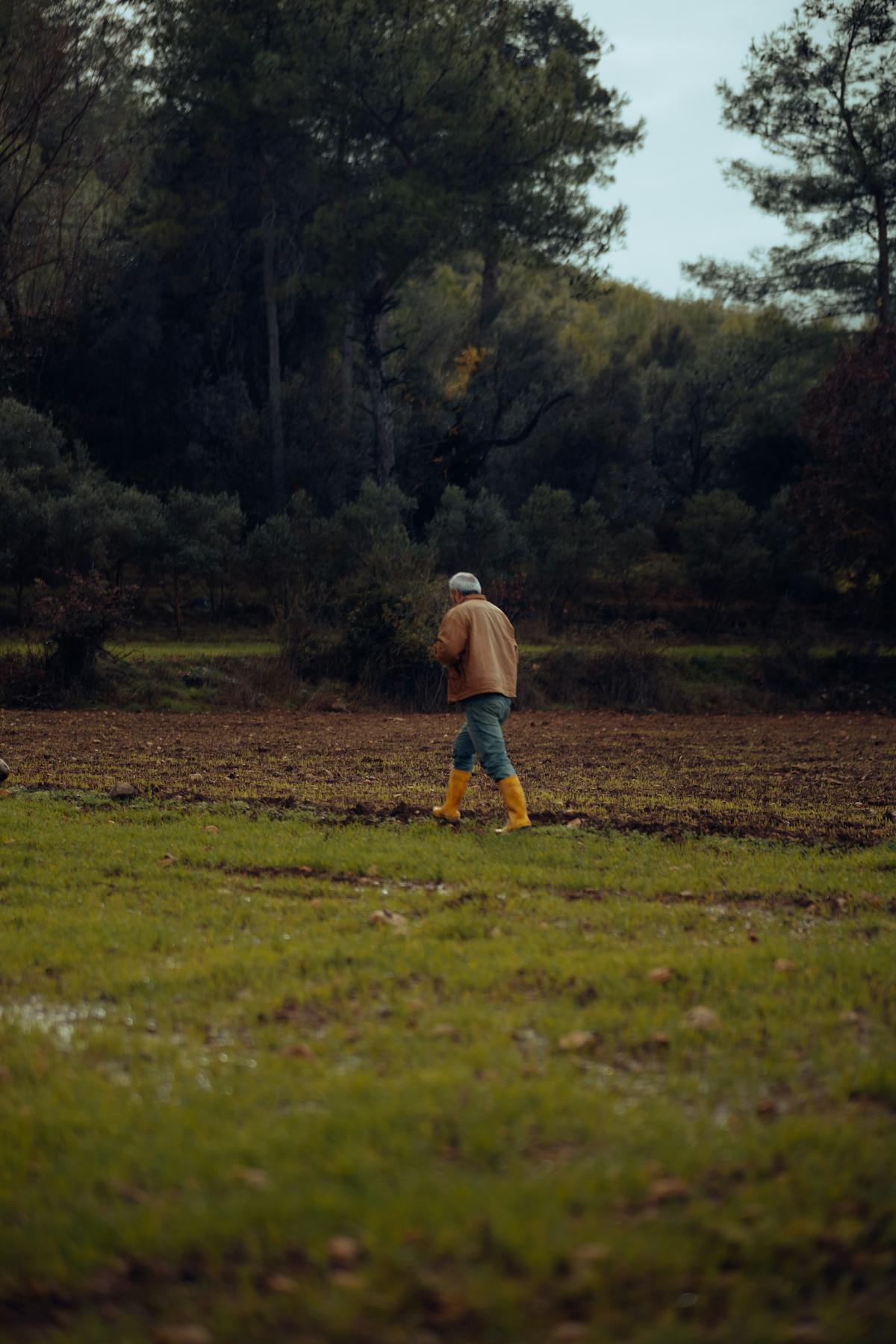 Rubber Farmer Photos, Download The BEST Free Rubber Farmer Stock Photos ...