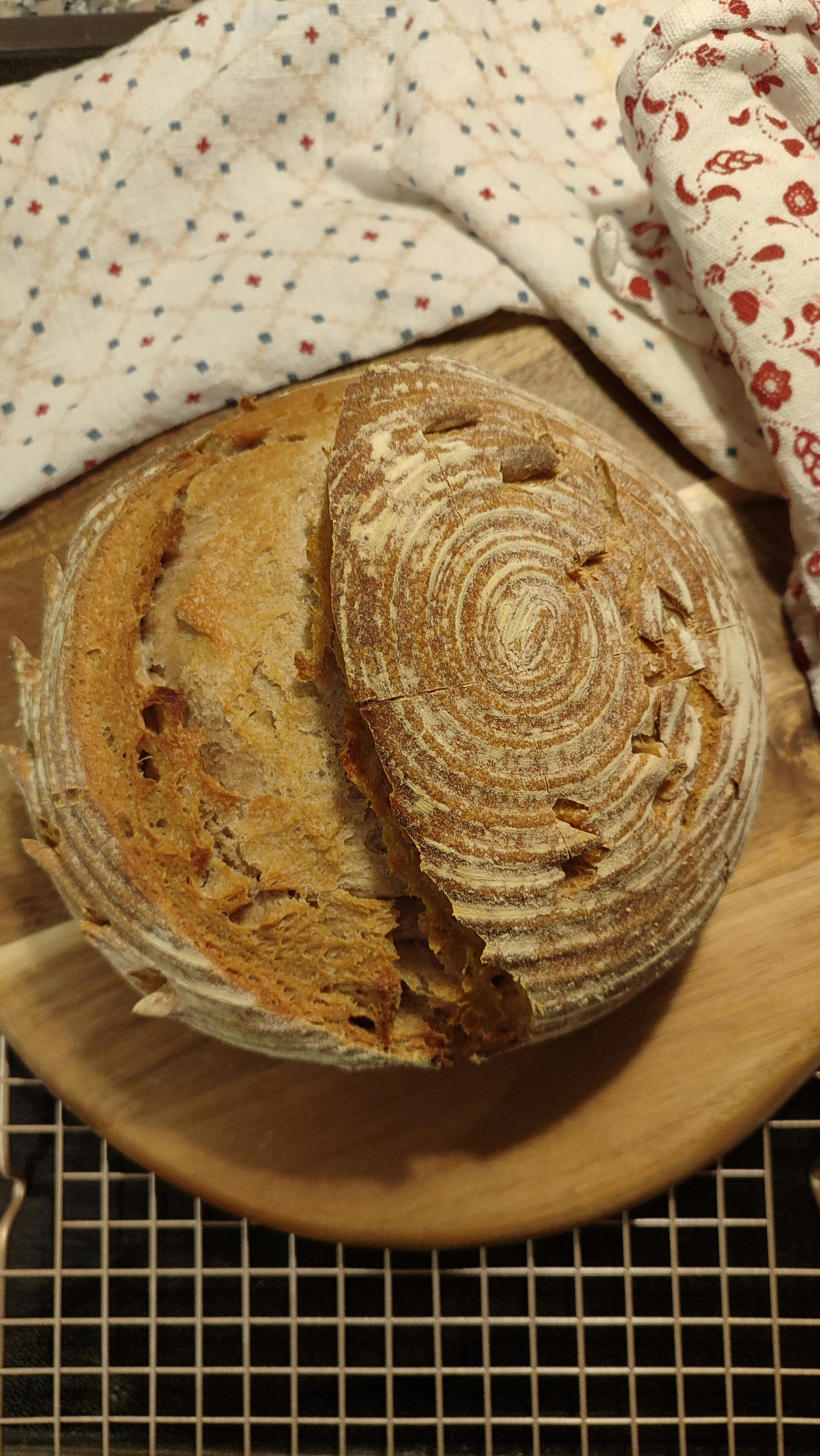 Human Holding a Bread · Free Stock Photo