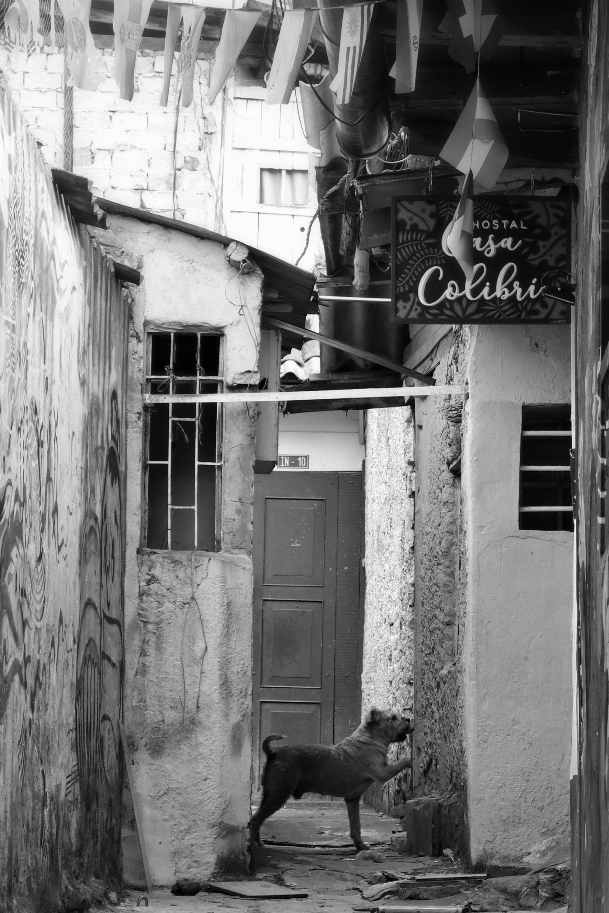 Anime Hostel Photos, Download The BEST Free Anime Hostel Stock Photos ...