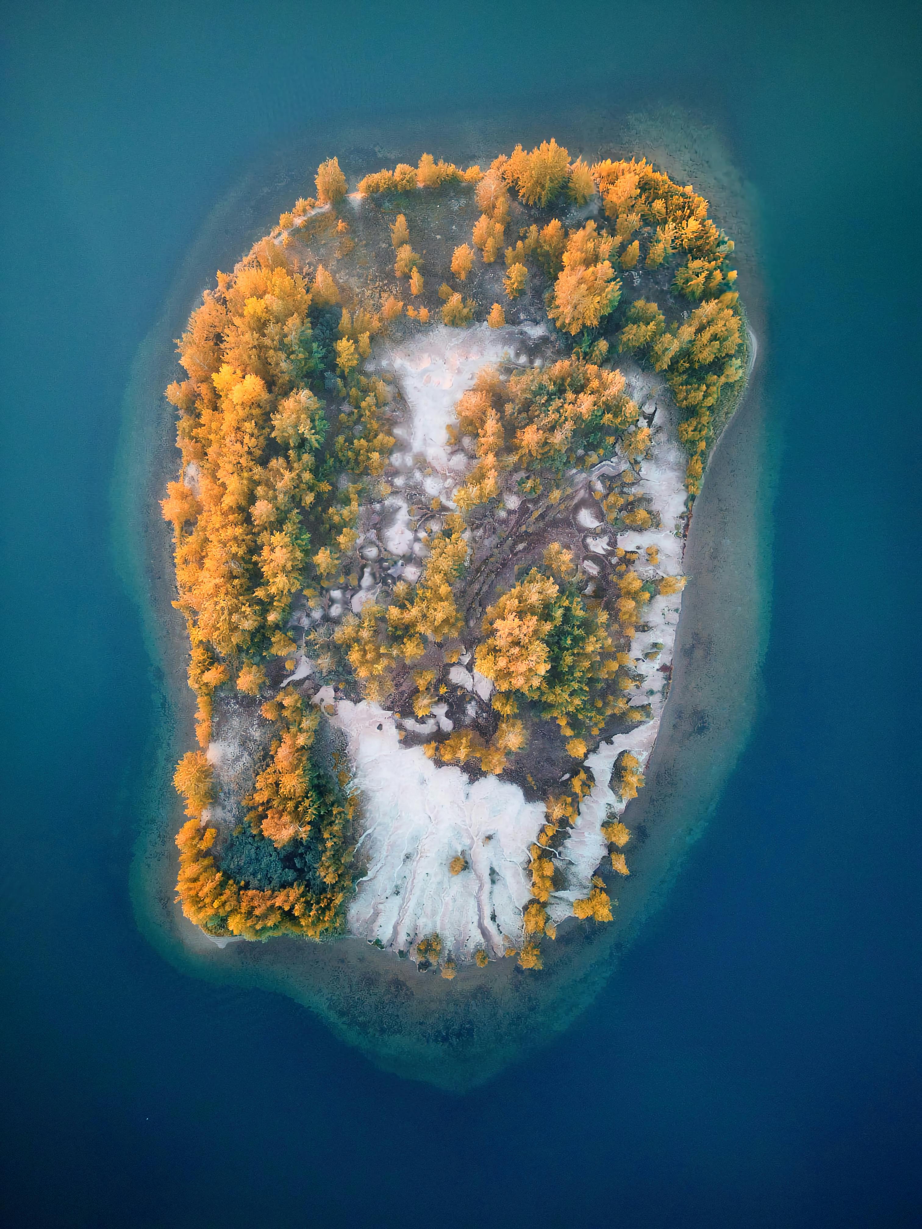 Trees on Island in Autumn · Free Stock Photo