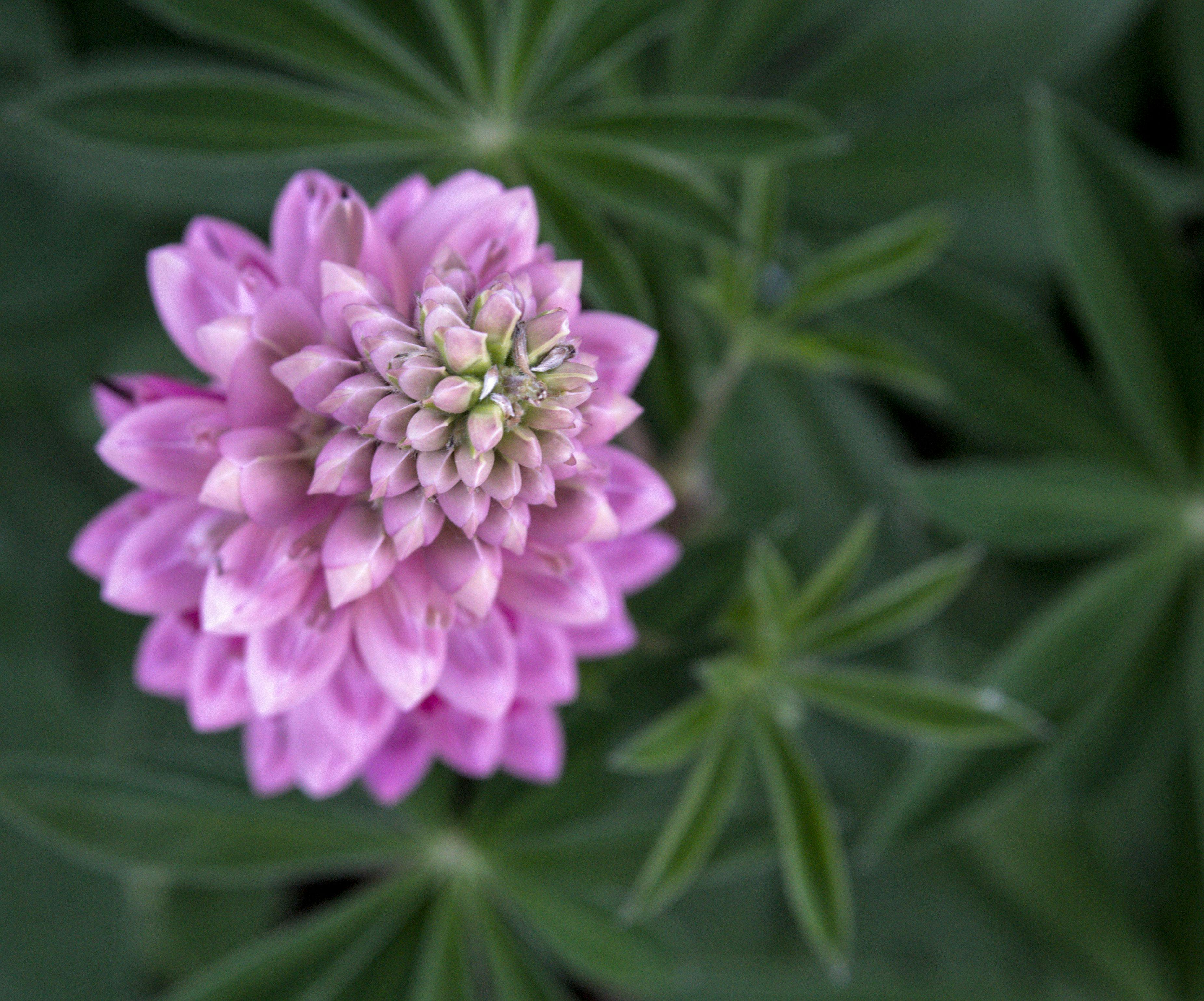 Brandon Benedict - 写真