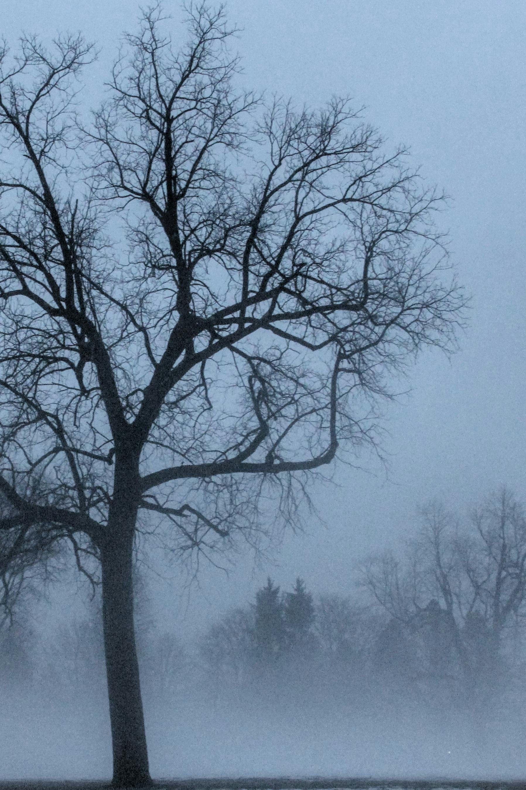 Brandon Benedict - 写真