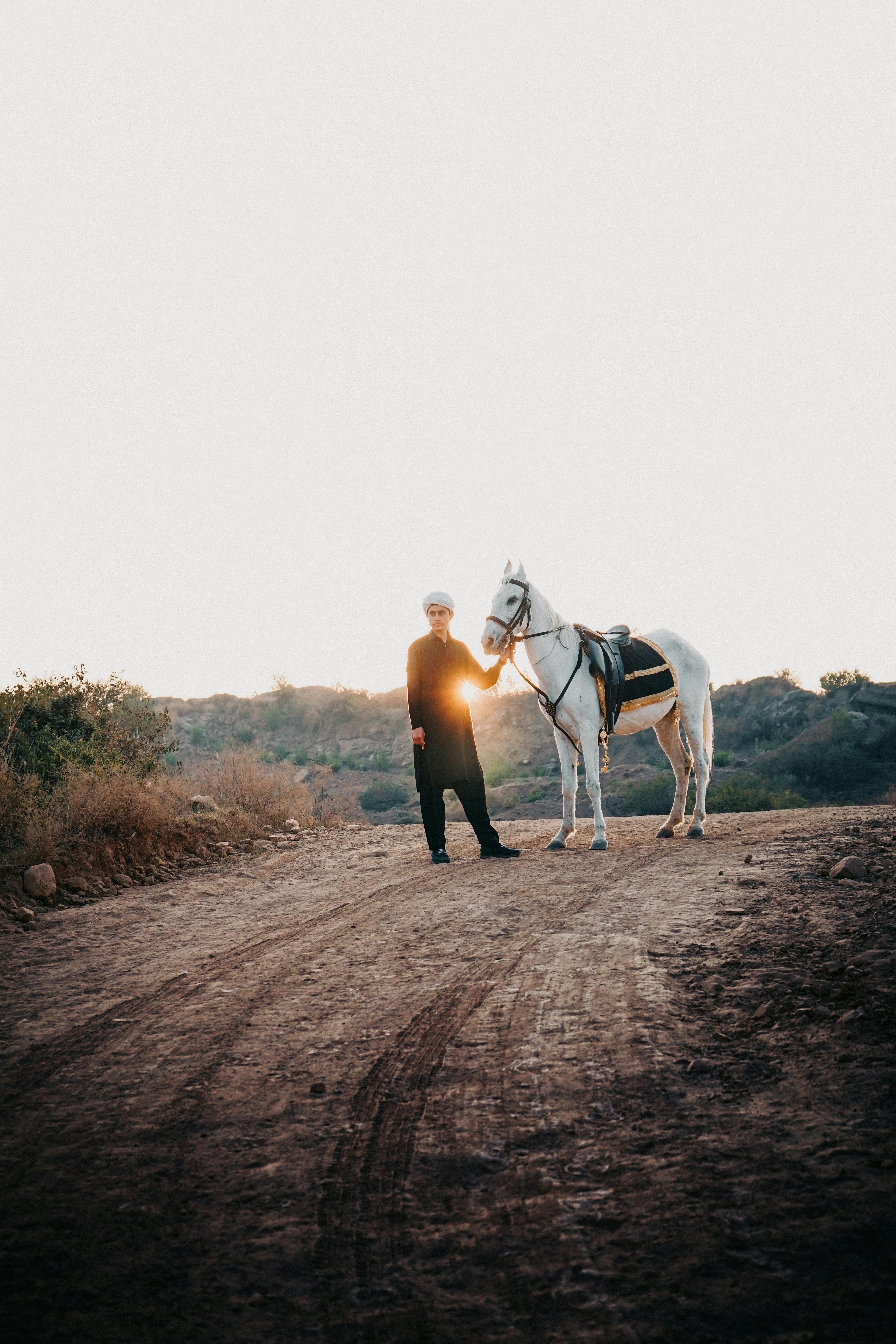 Horseride Photos, Download The BEST Free Horseride Stock Photos & HD Images