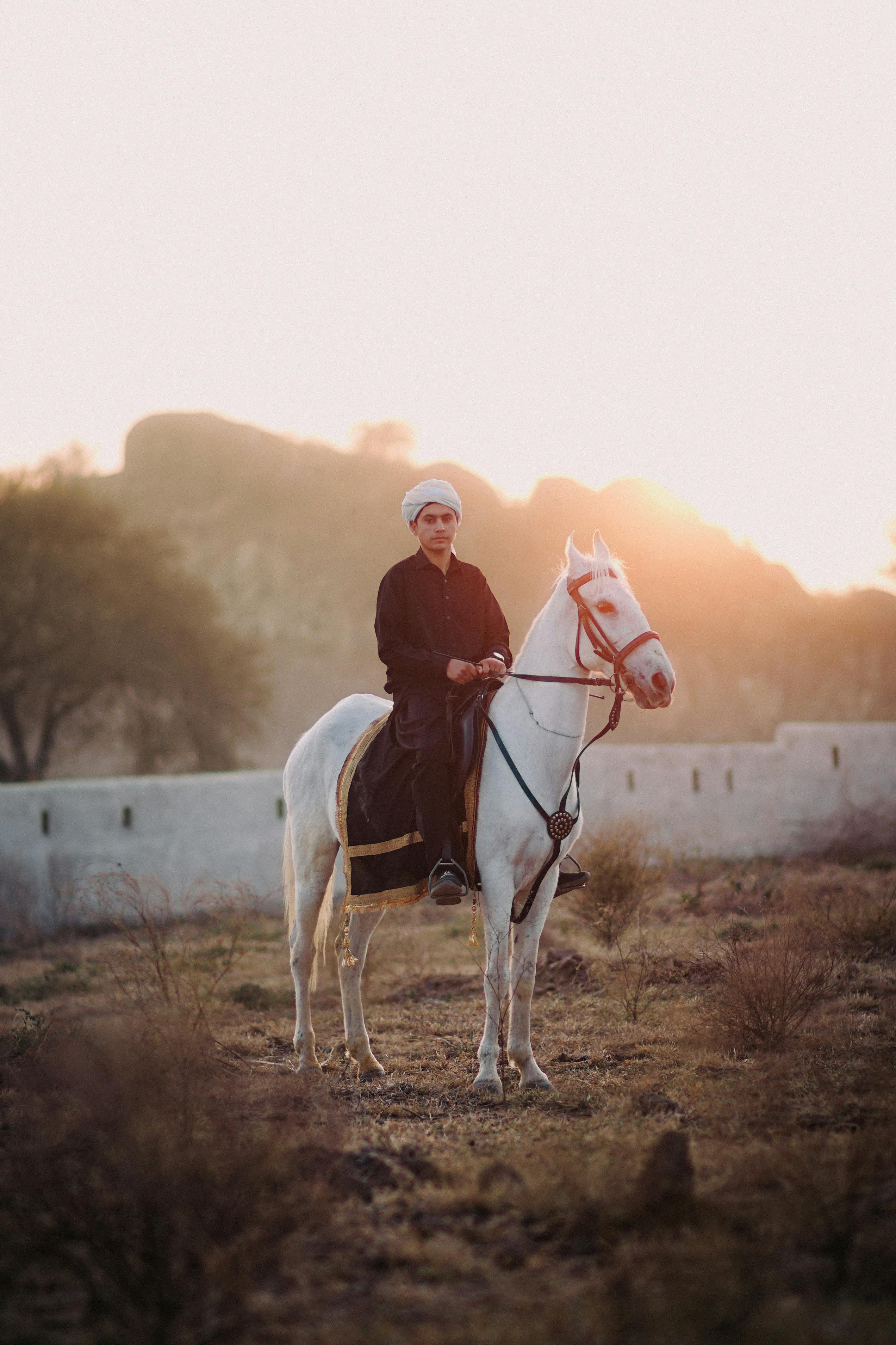 Horse Photoshop Photos, Download The BEST Free Horse Photoshop Stock ...