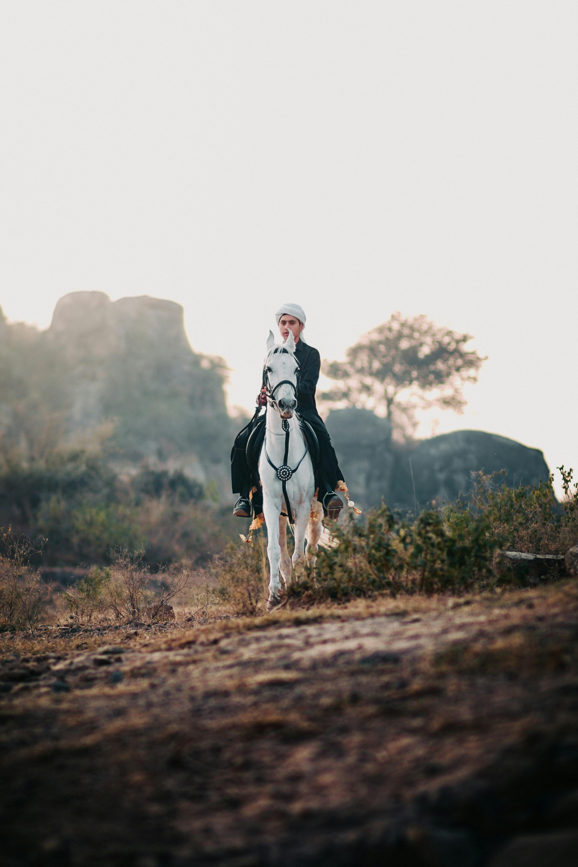 Man Riding a White Horse · Free Stock Photo