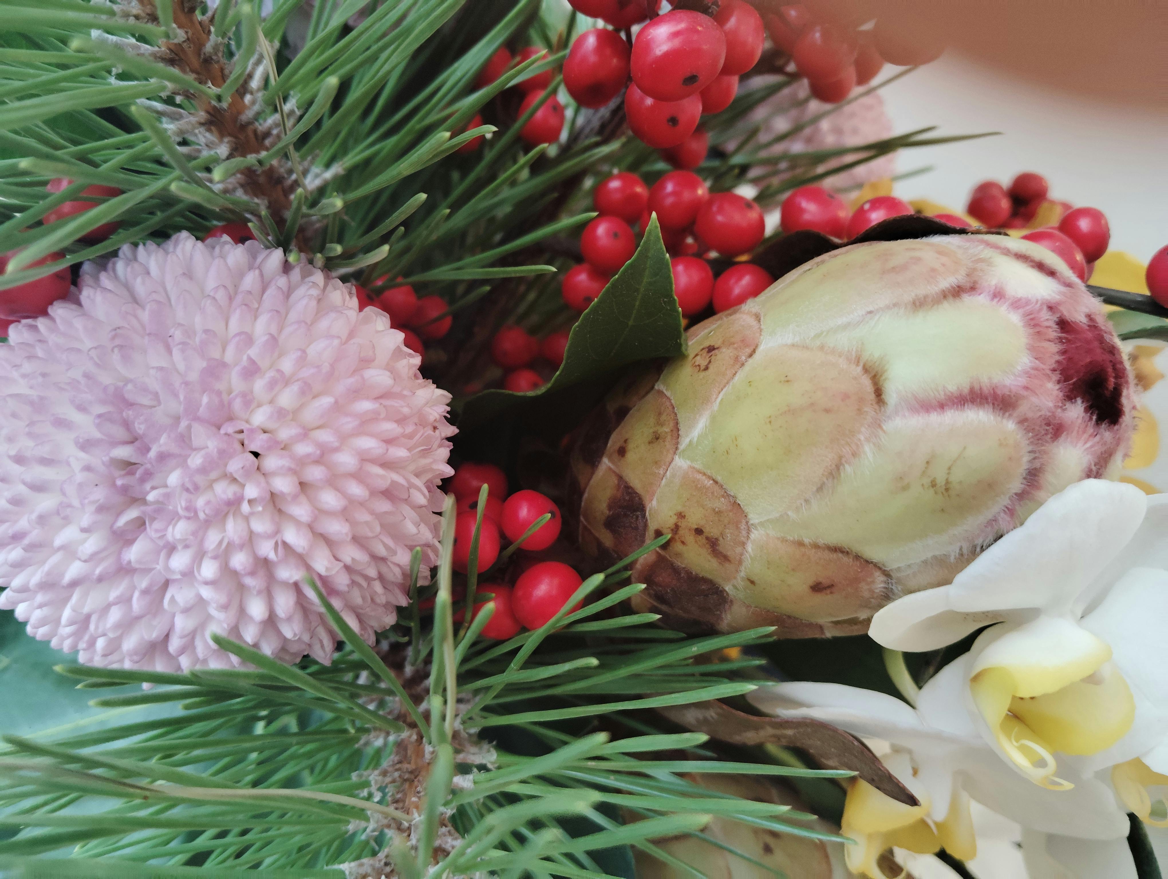 Judy Cheung - Fotografía