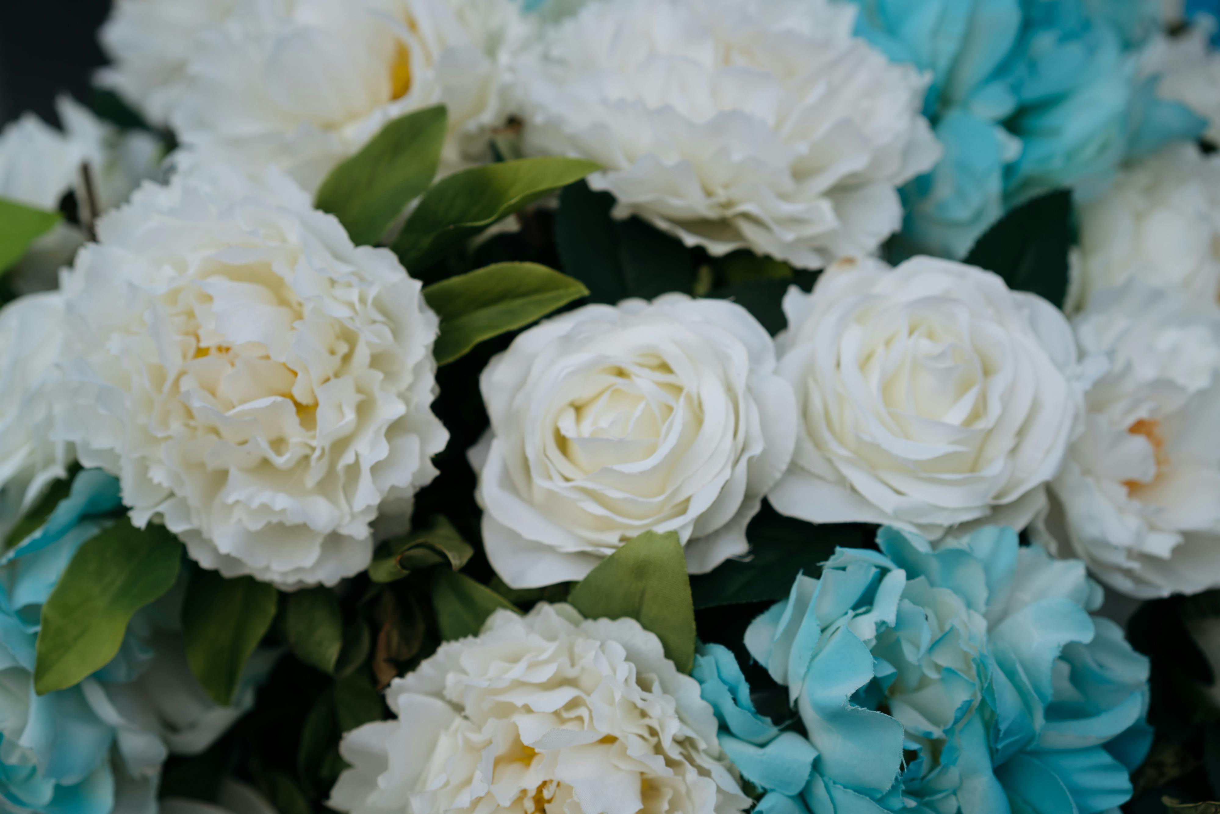A bouquet of white and blue flowers · Free Stock Photo