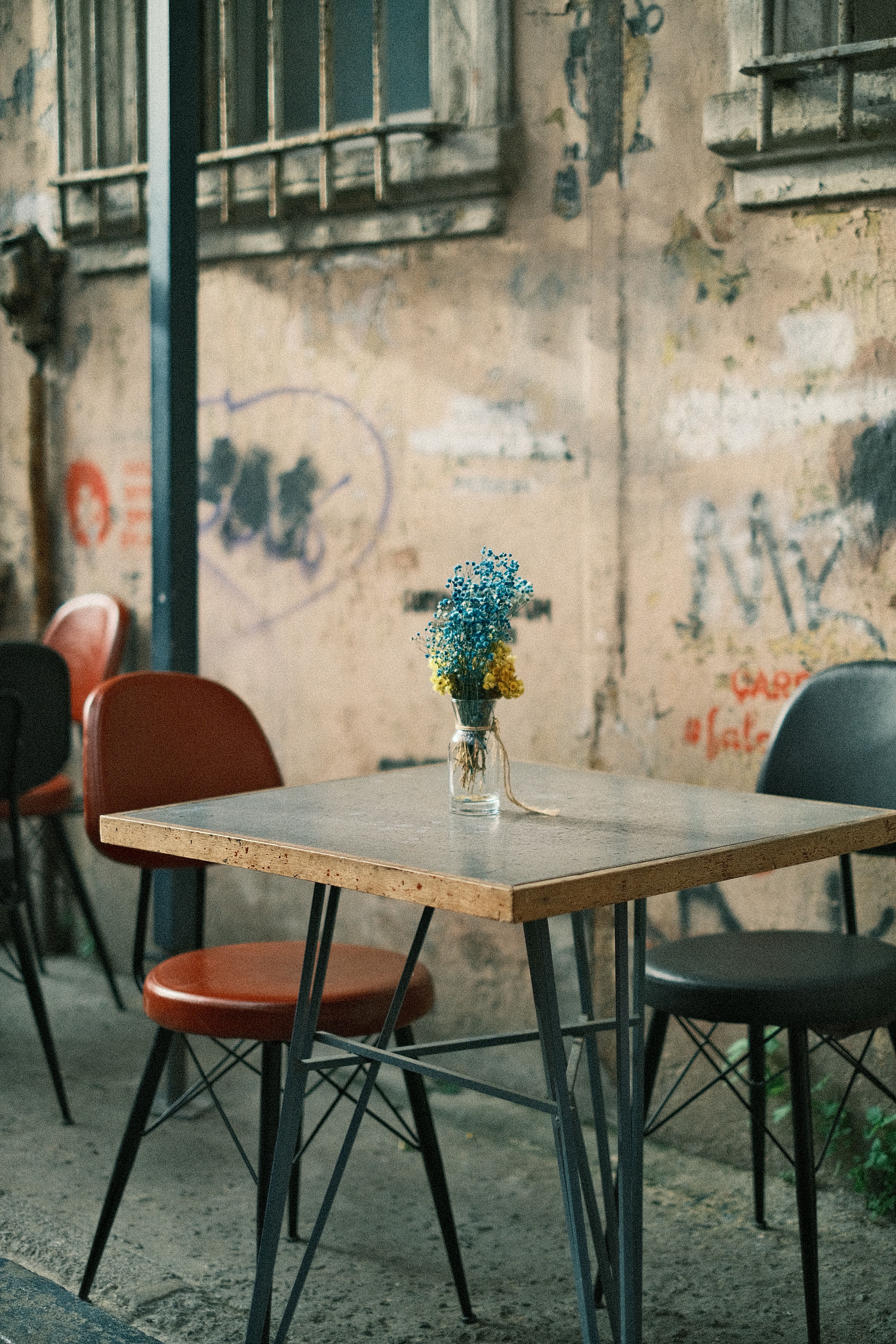 Delicate Flowers in Vase on Cafe Table · Free Stock Photo