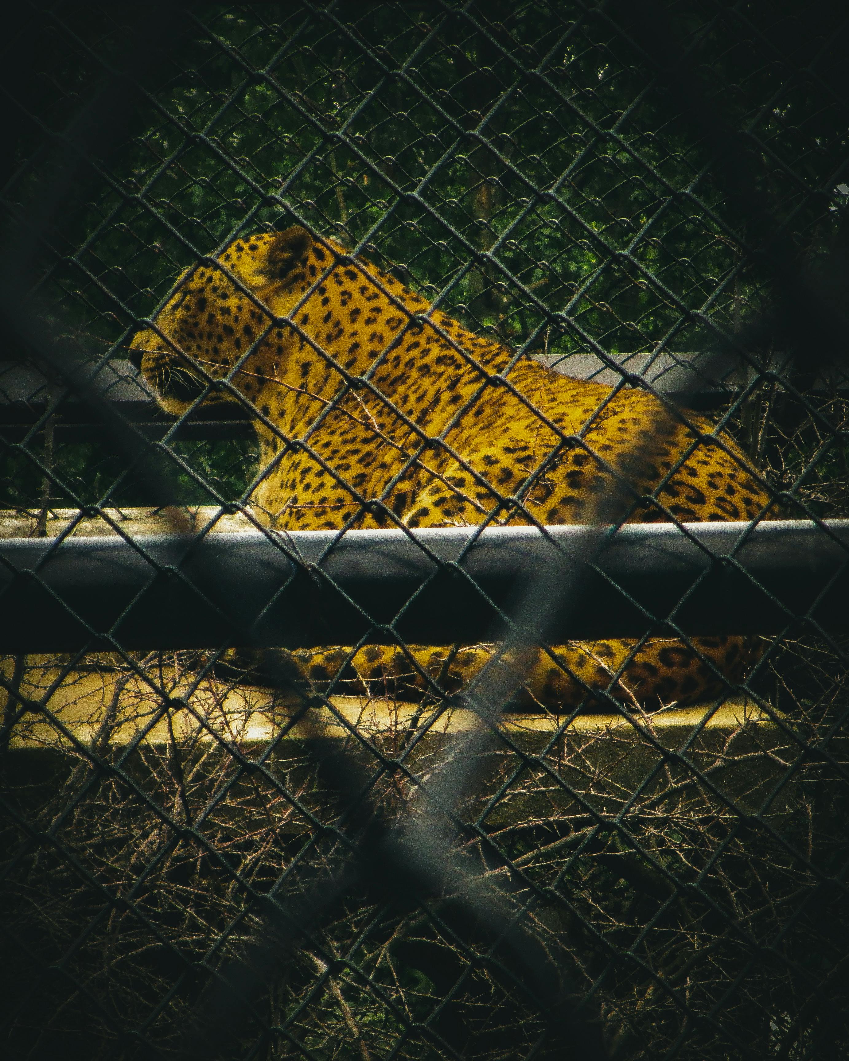 Bernard Thomas - Photography