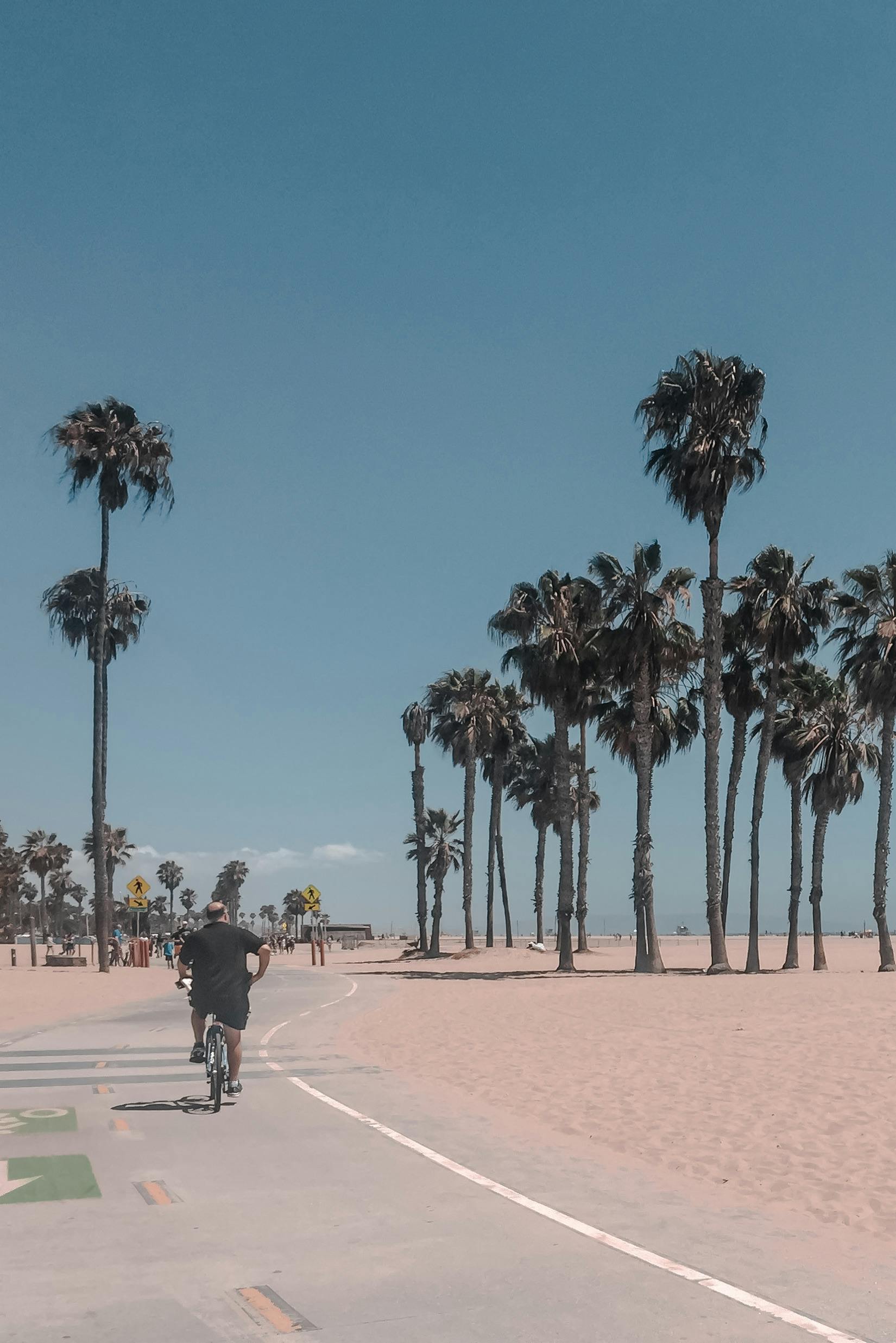 Palm Tree Road California Photos, Download The BEST Free Palm Tree Road ...