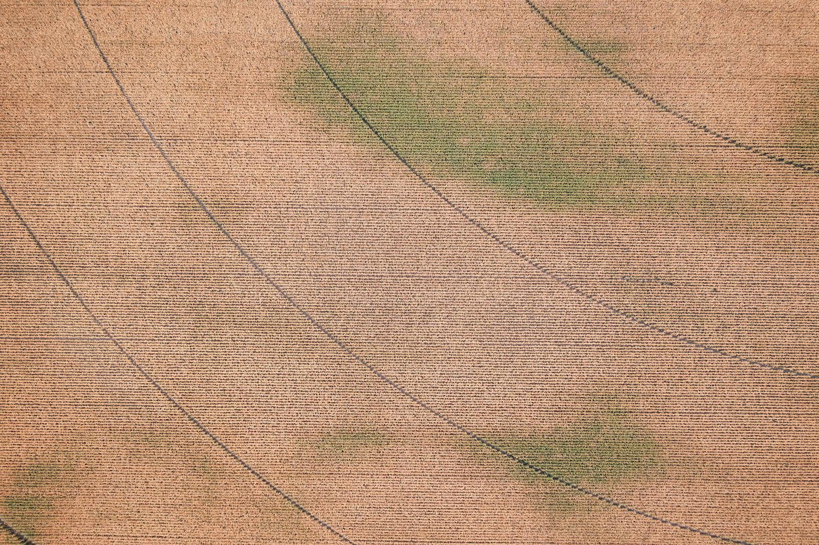 Wavey Lines Photos, Download The BEST Free Wavey Lines Stock Photos ...