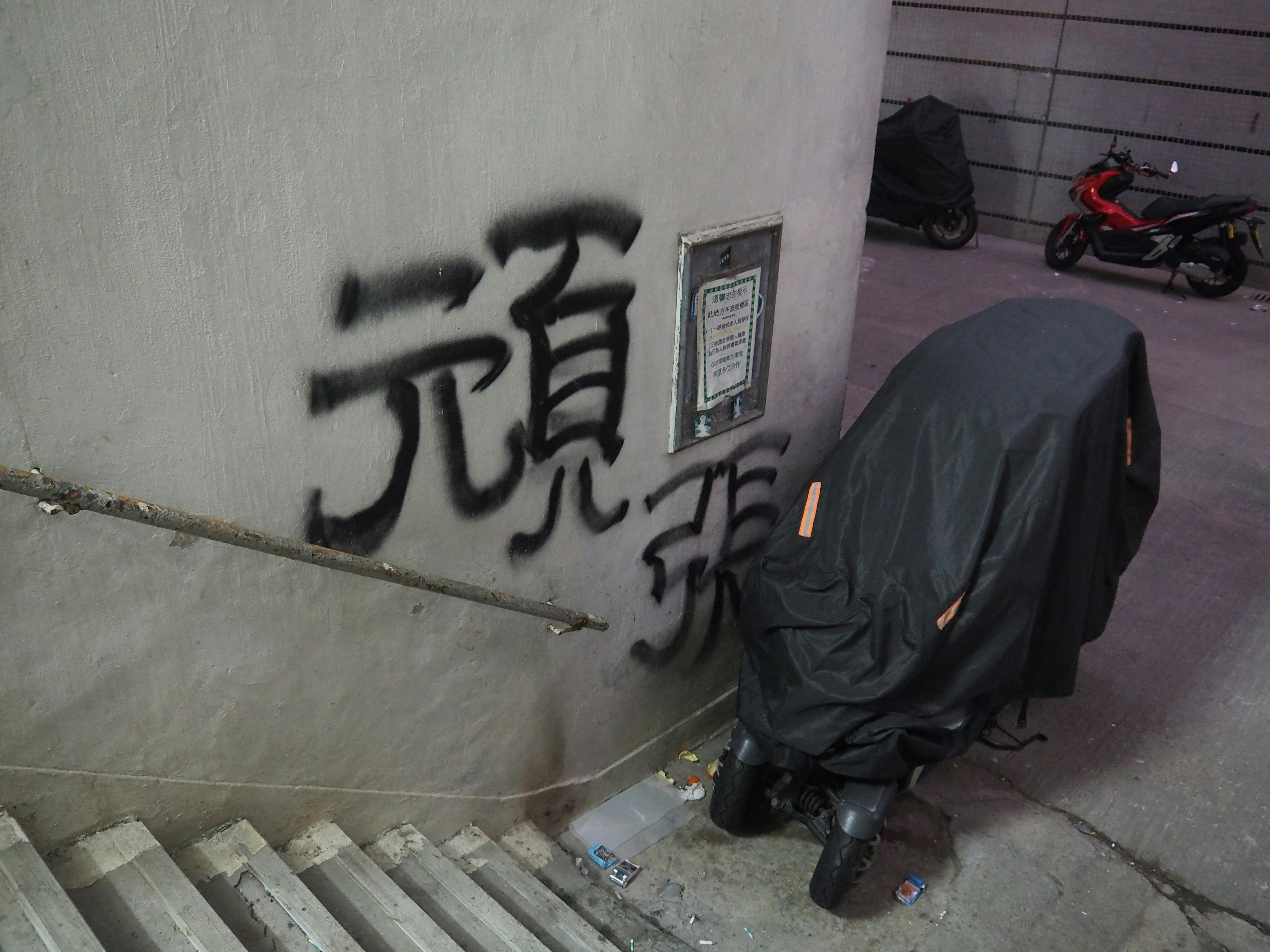 terry narcissan tsui — Фотография