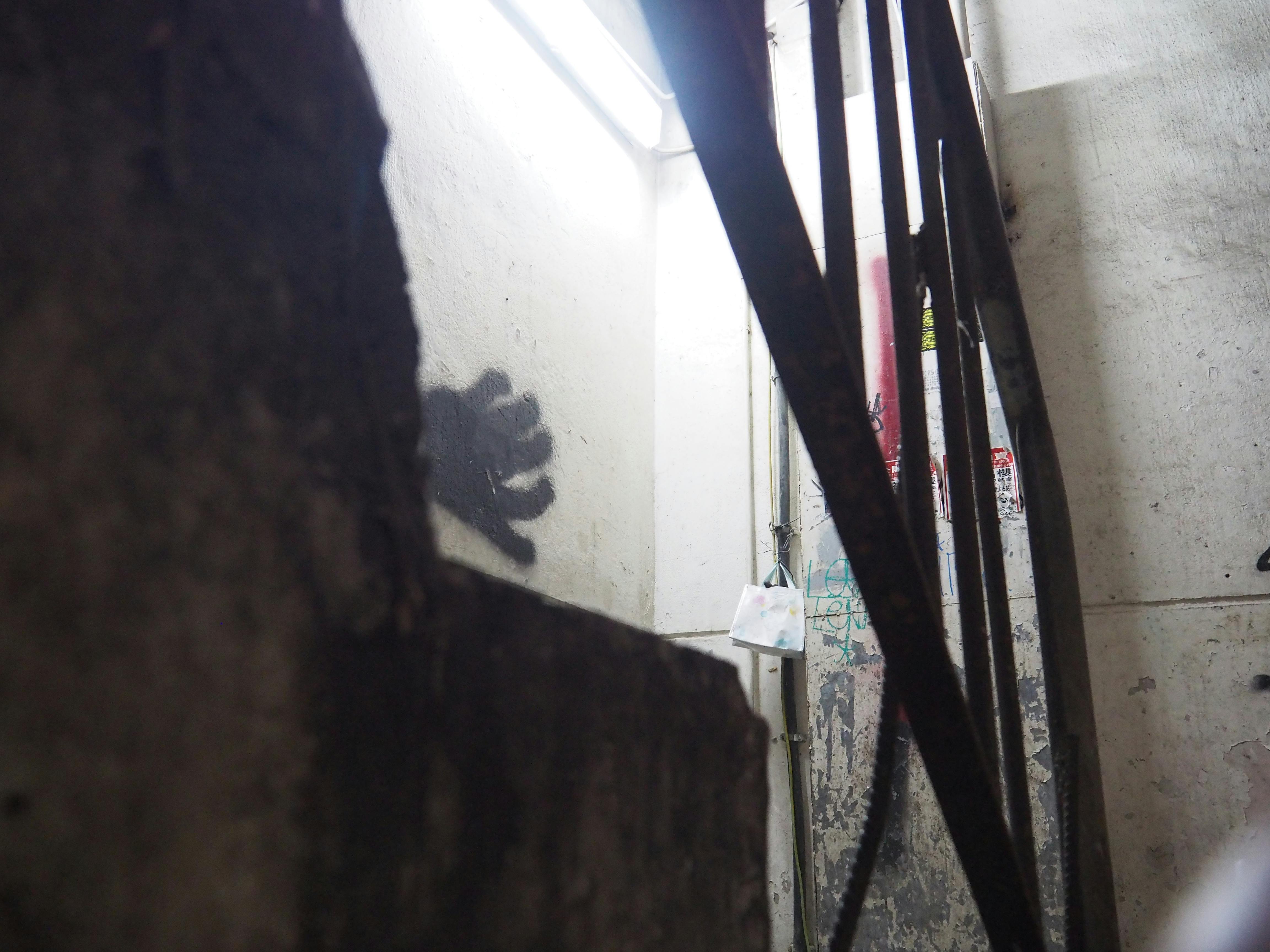 terry narcissan tsui — Фотография