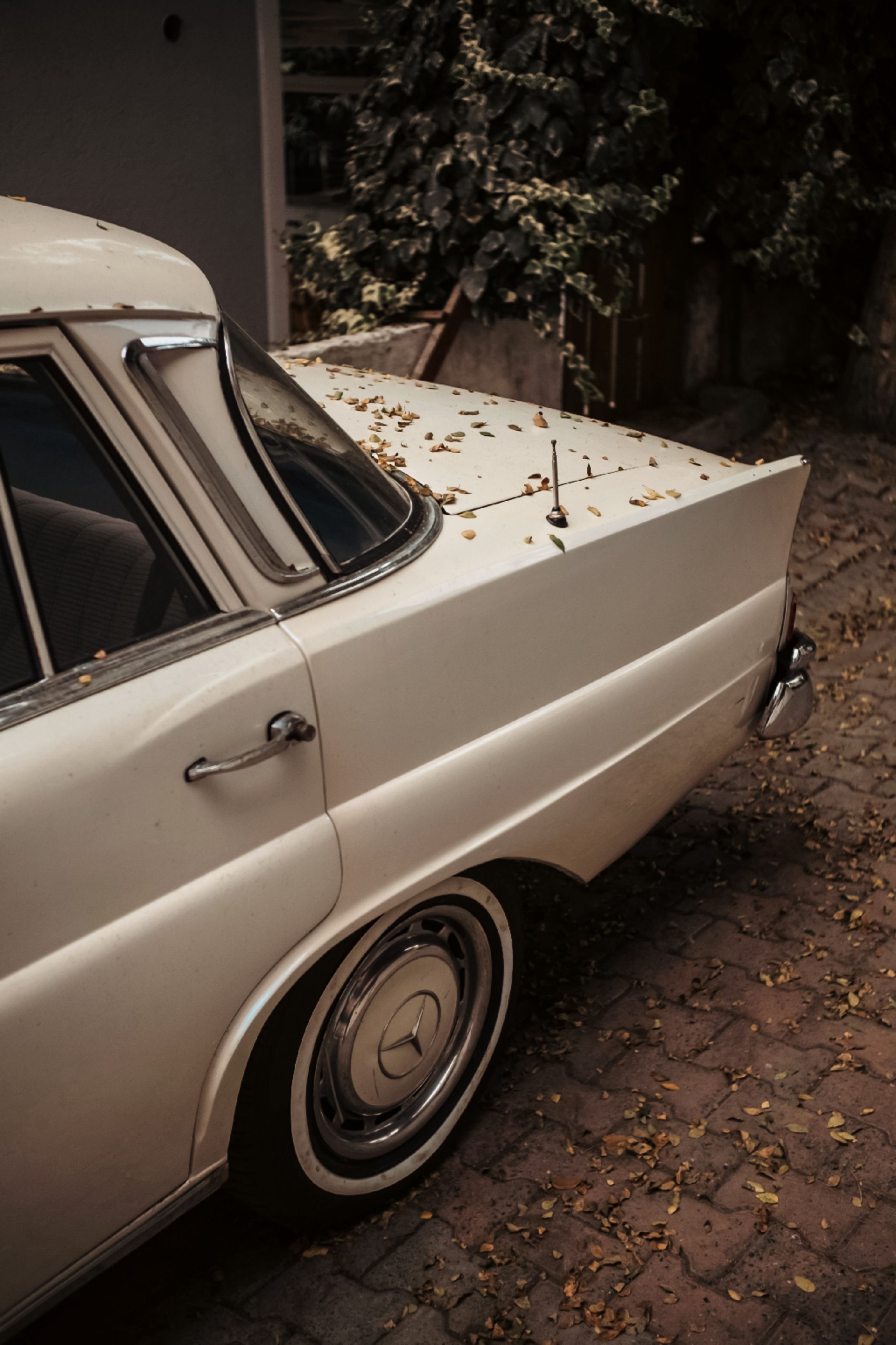 Back of a White Vintage Mercedes Car · Free Stock Photo
