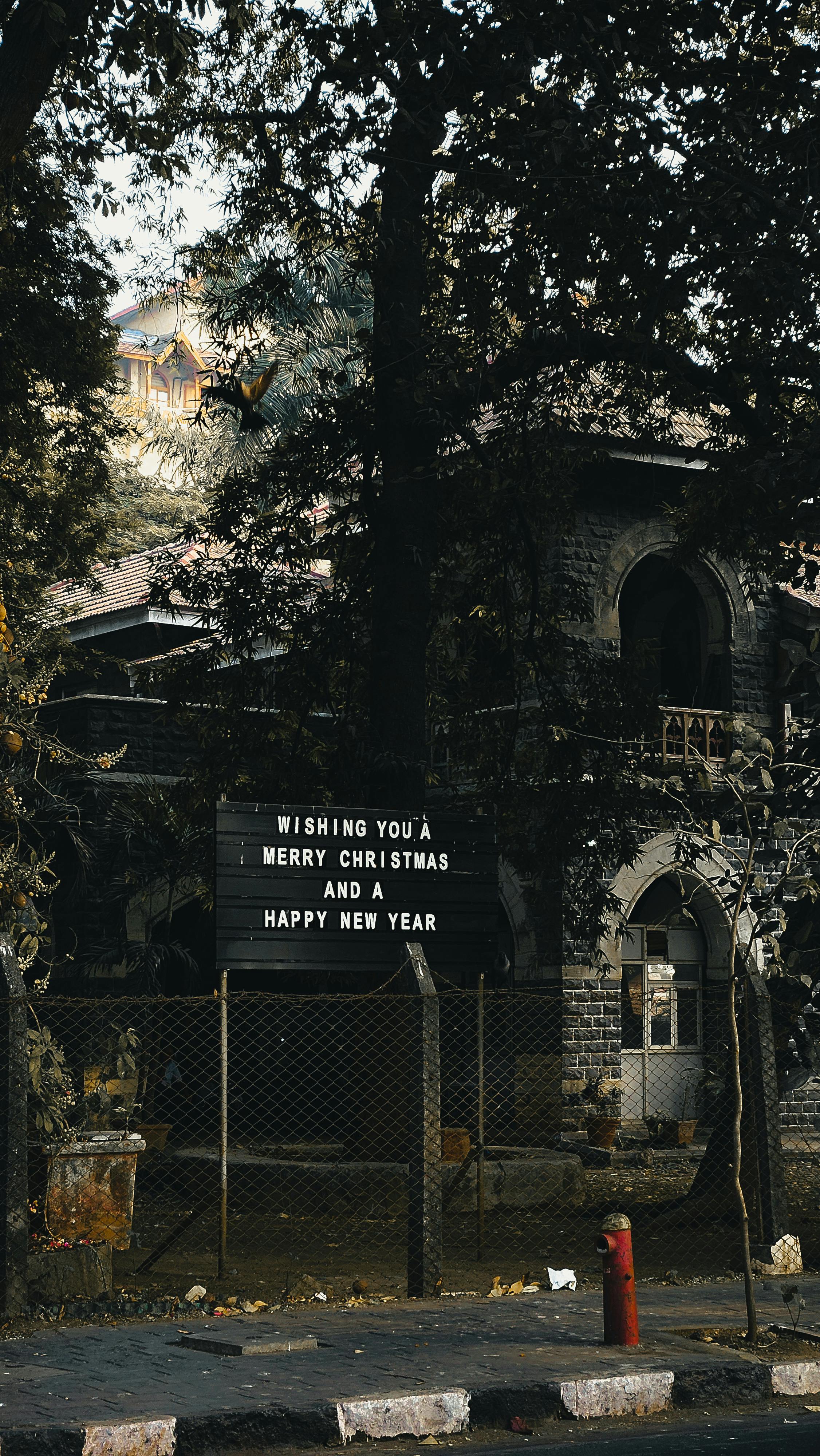 Deepak Bhandari - Photography