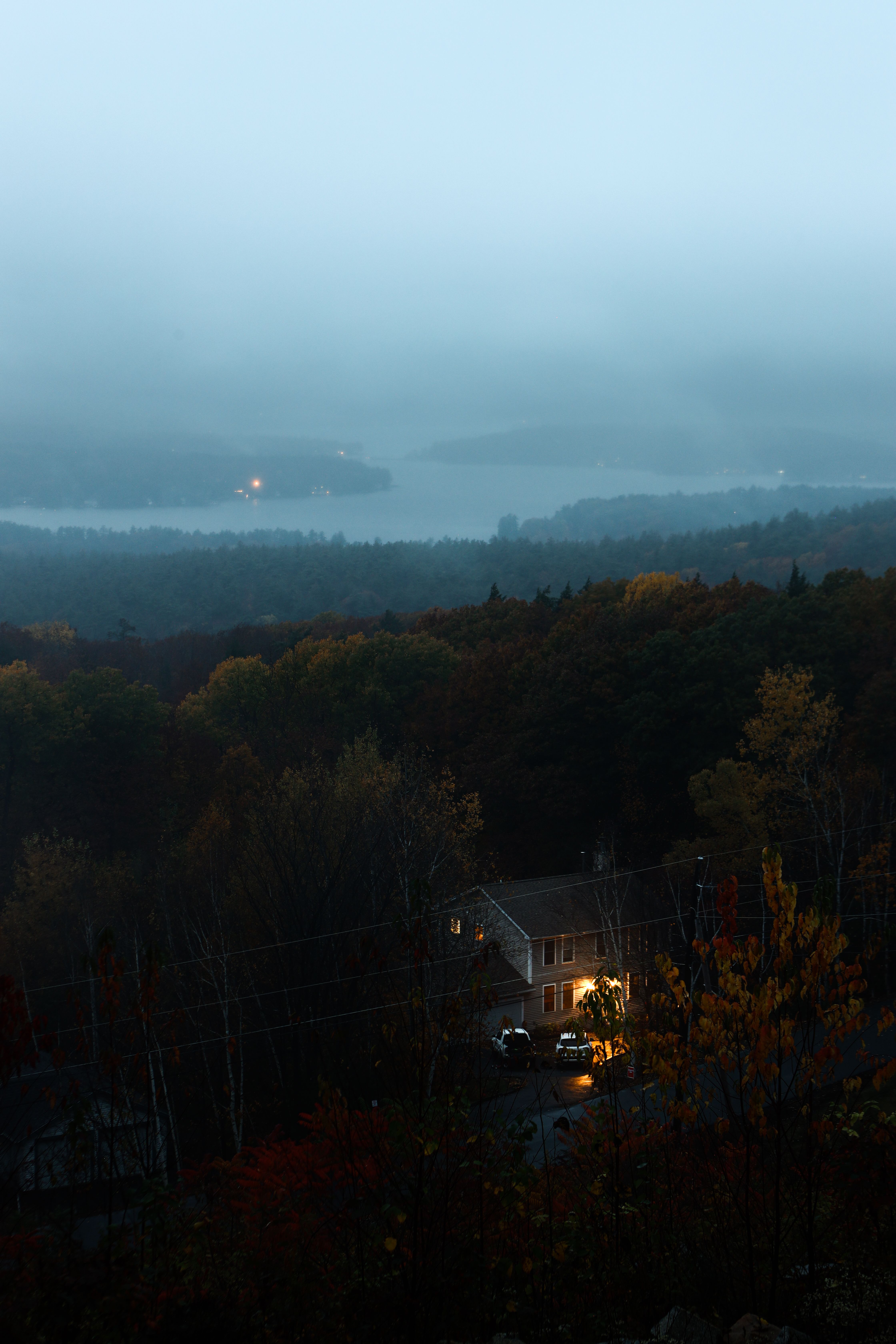 House in Deep Forest · Free Stock Photo