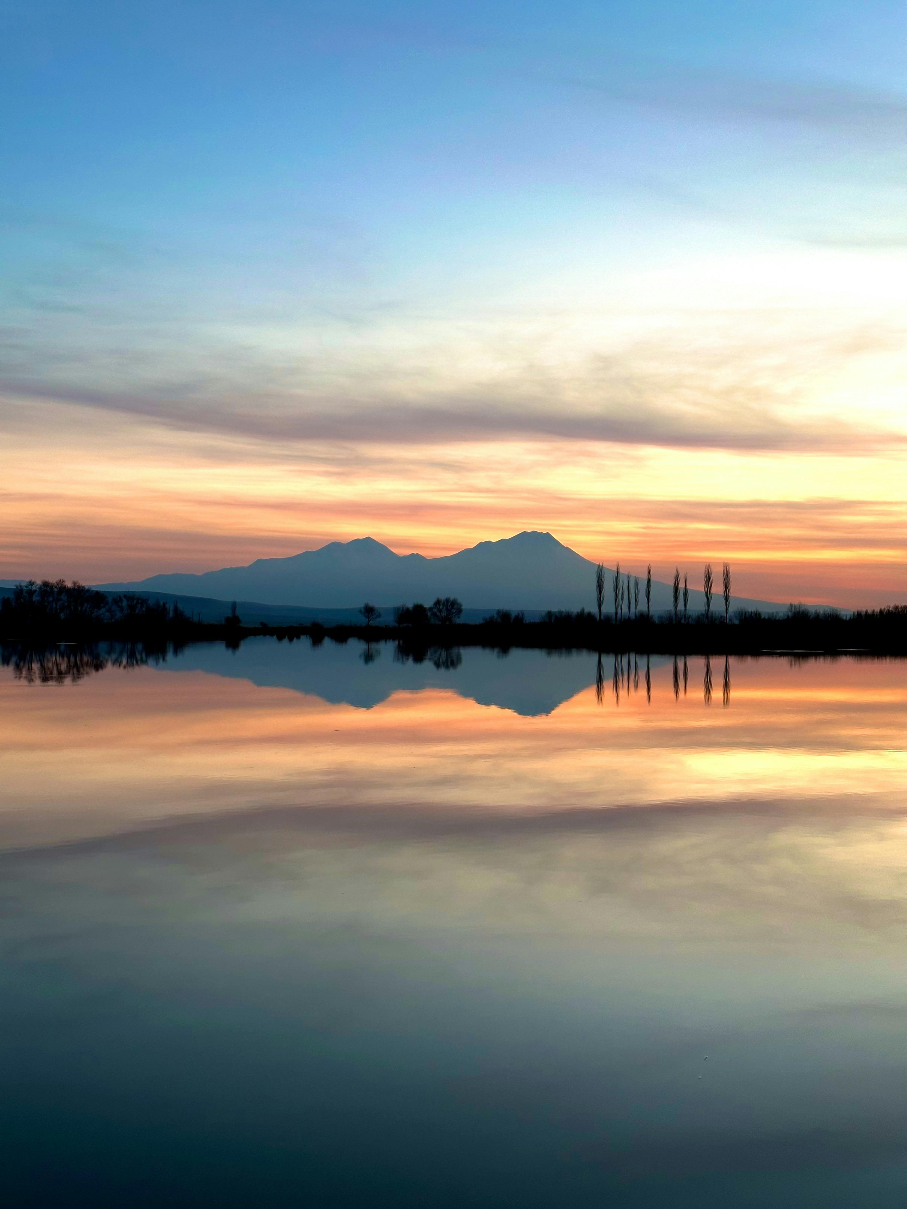 Poplar Photos, Download The BEST Free Poplar Stock Photos & HD Images