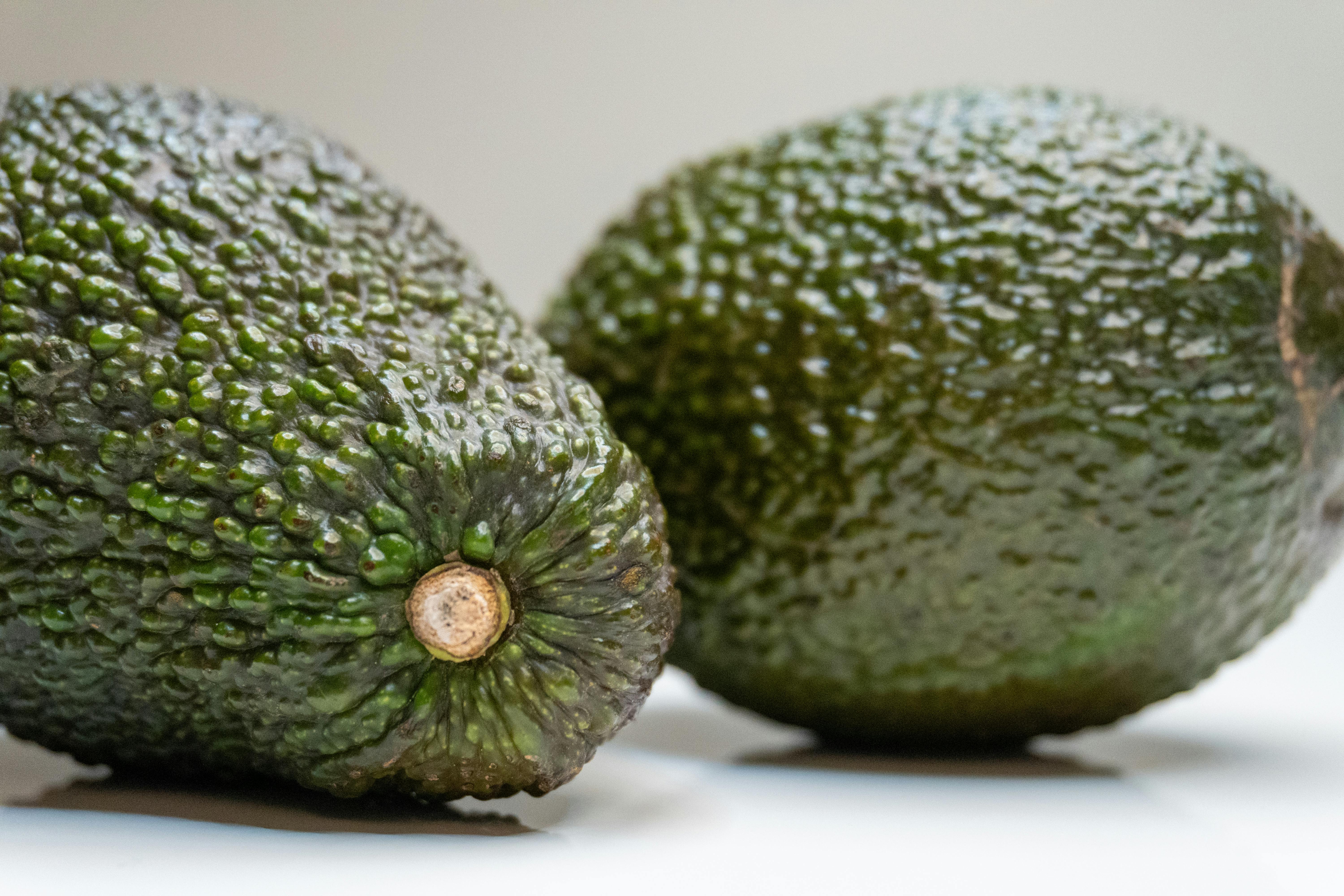 Close-up of Avocados · Free Stock Photo