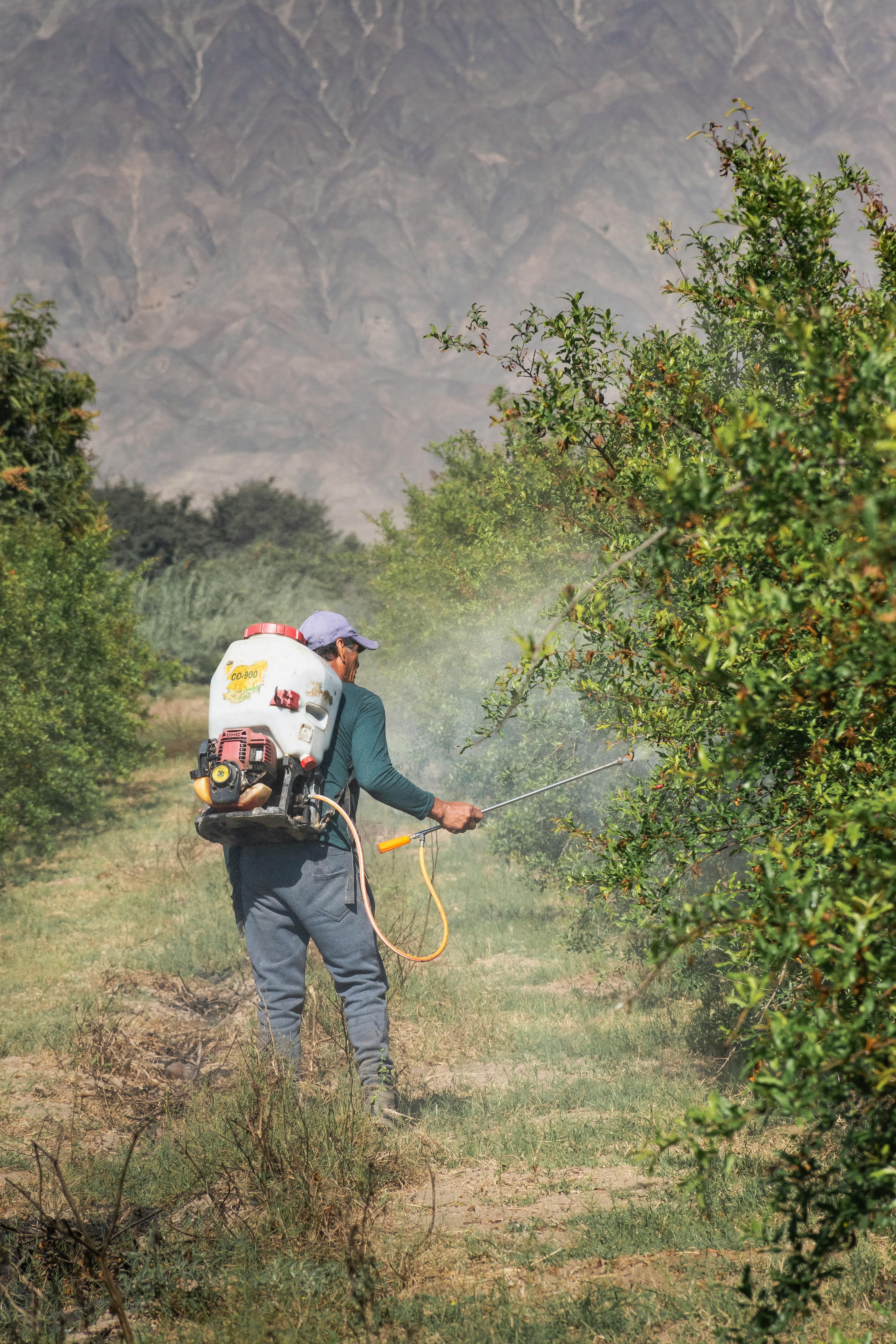Photo of a Man Crop Spraying in a Field · Free Stock Photo
