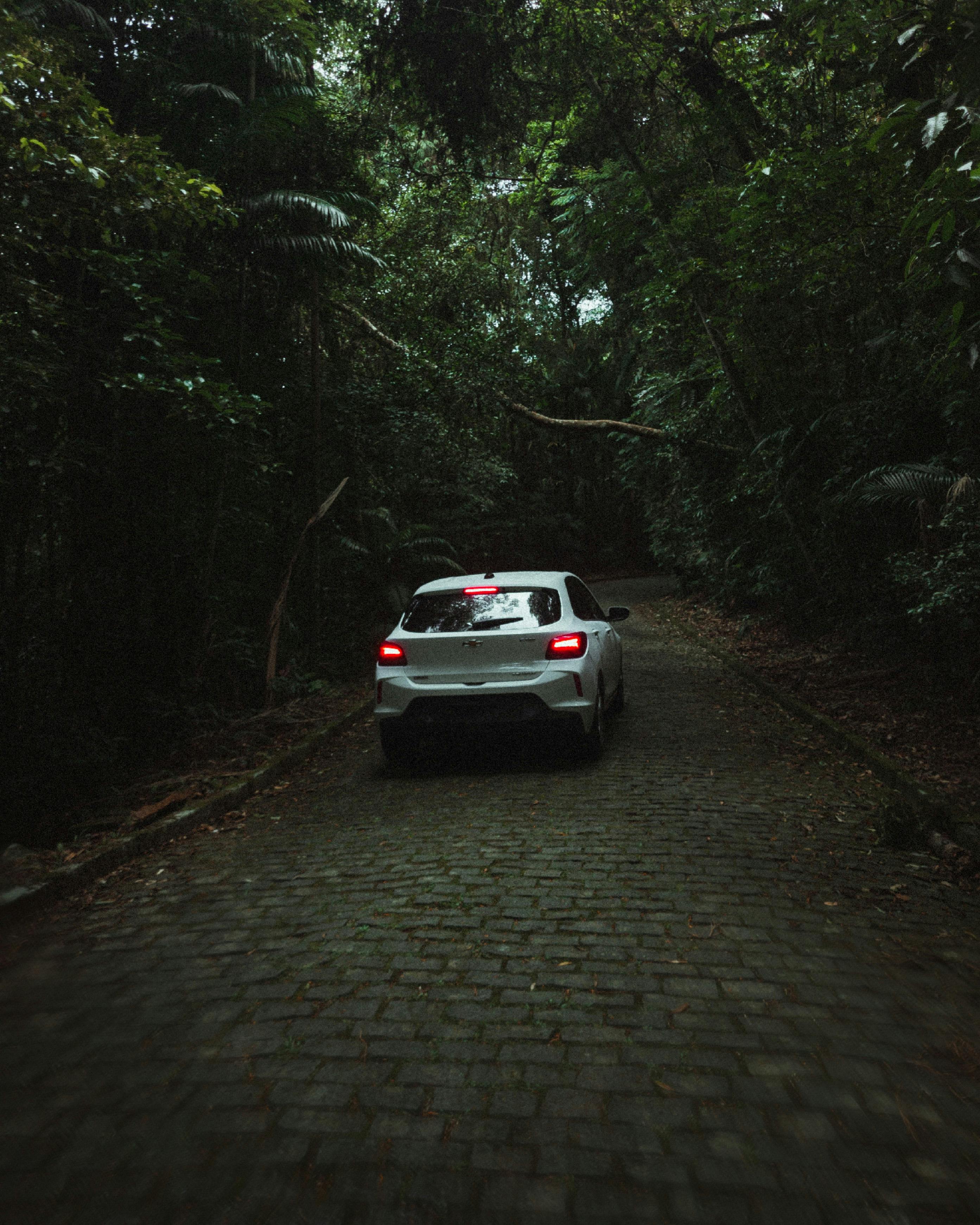 White and Black Car on Road in Between Green Trees · Free Stock Photo