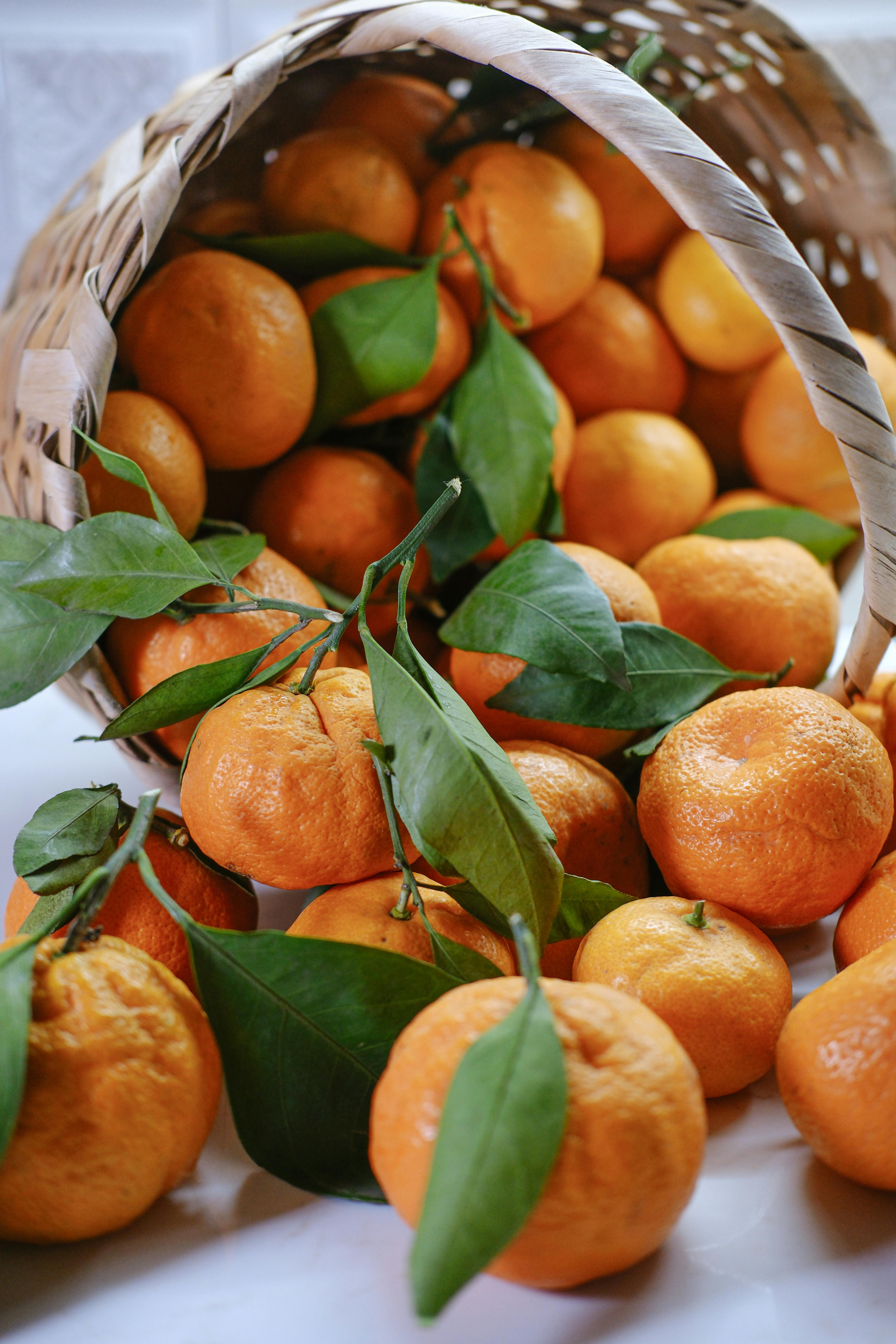 Basket of Tangerines · Free Stock Photo