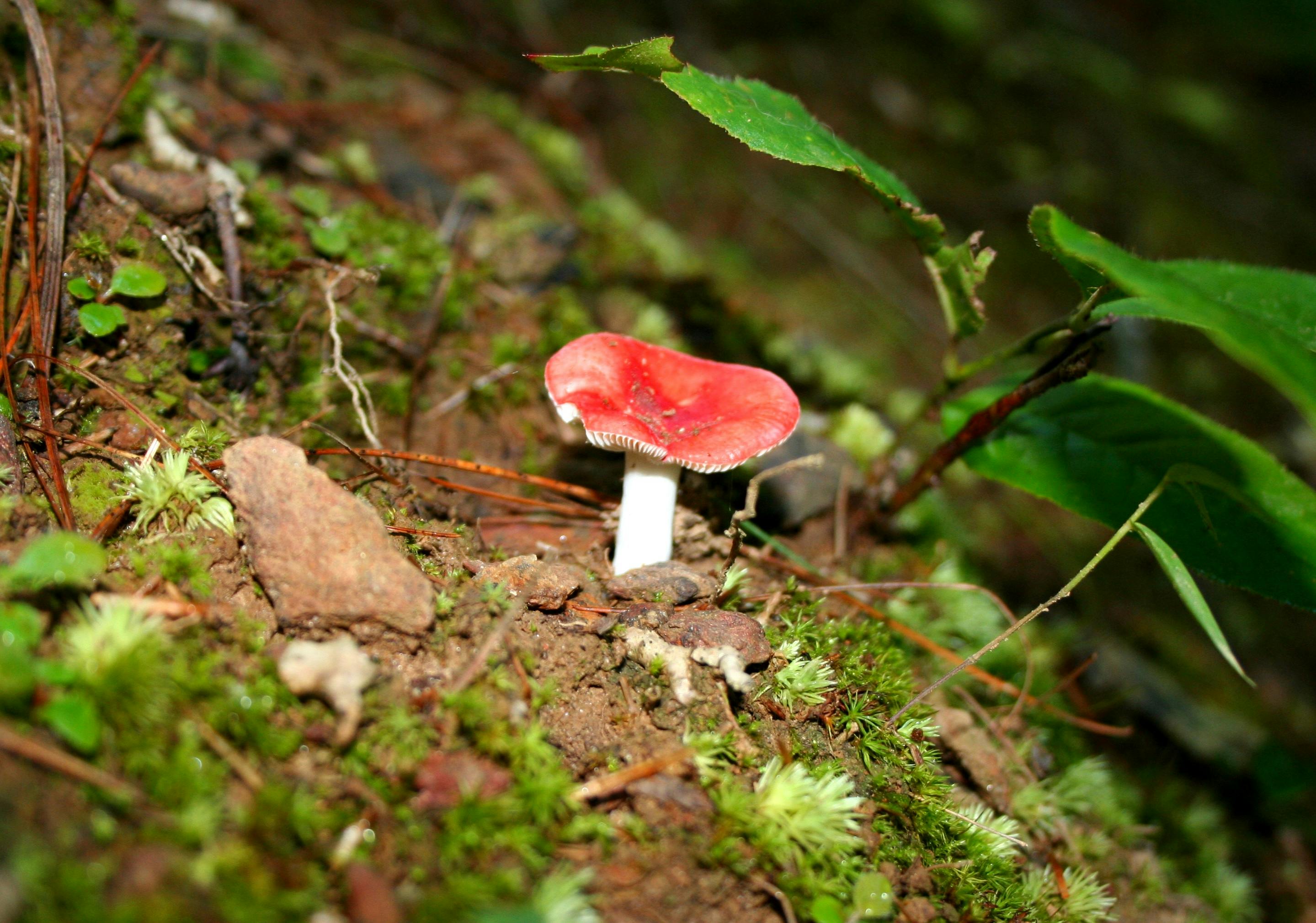 Wayne Porter - 写真