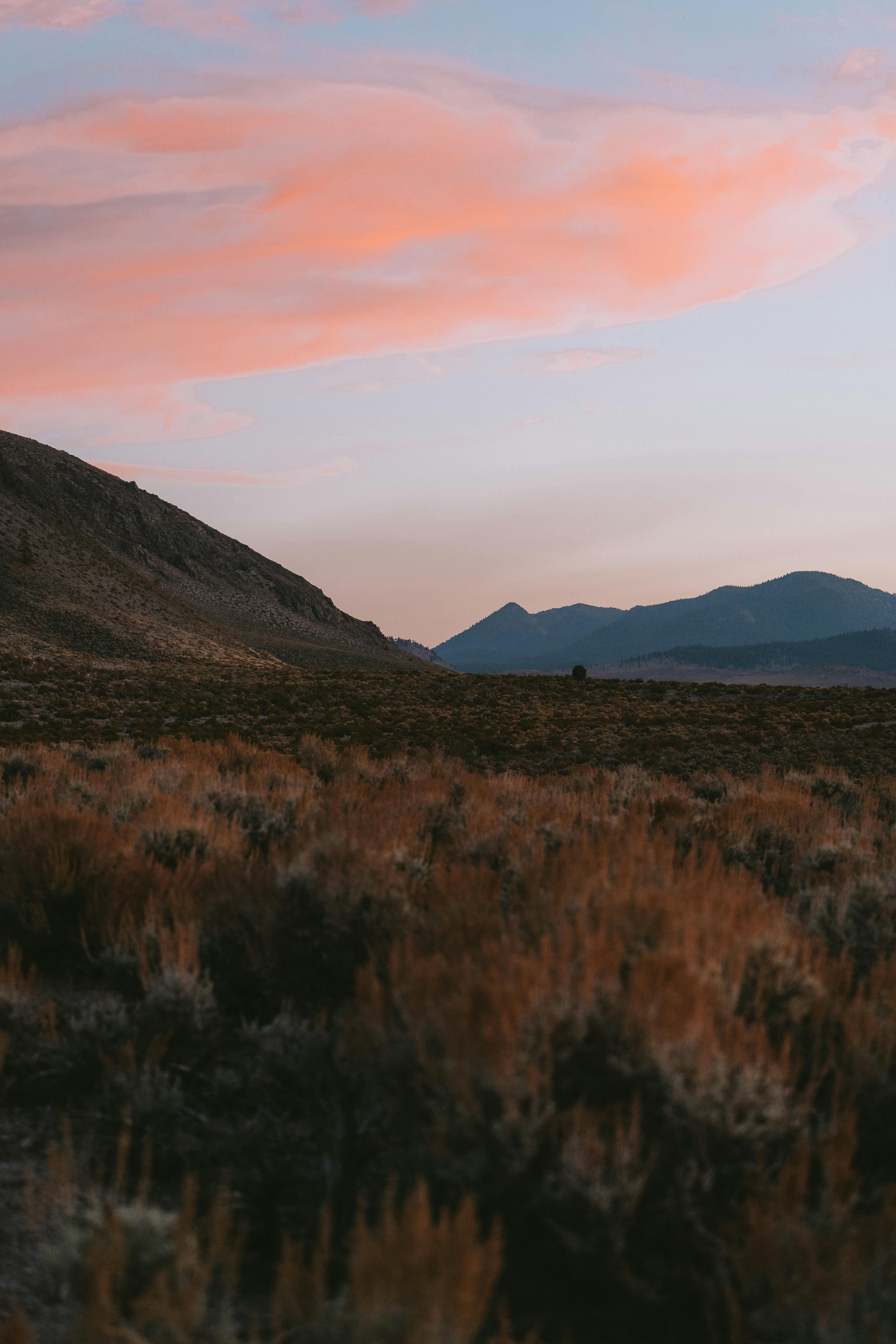 Horizon Landscape · Free Stock Photo