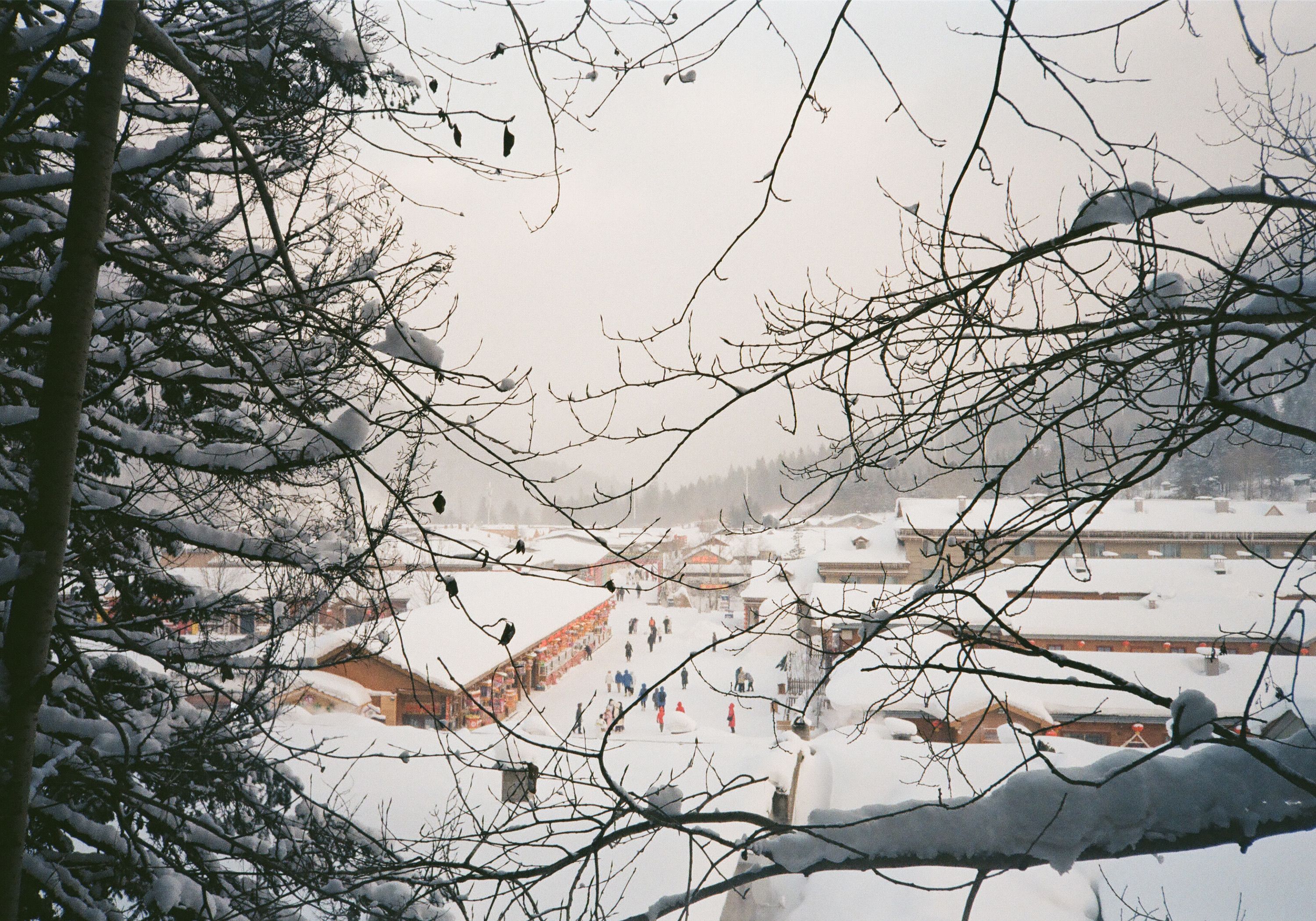 Snow on Buildings Roofs in Village · Free Stock Photo