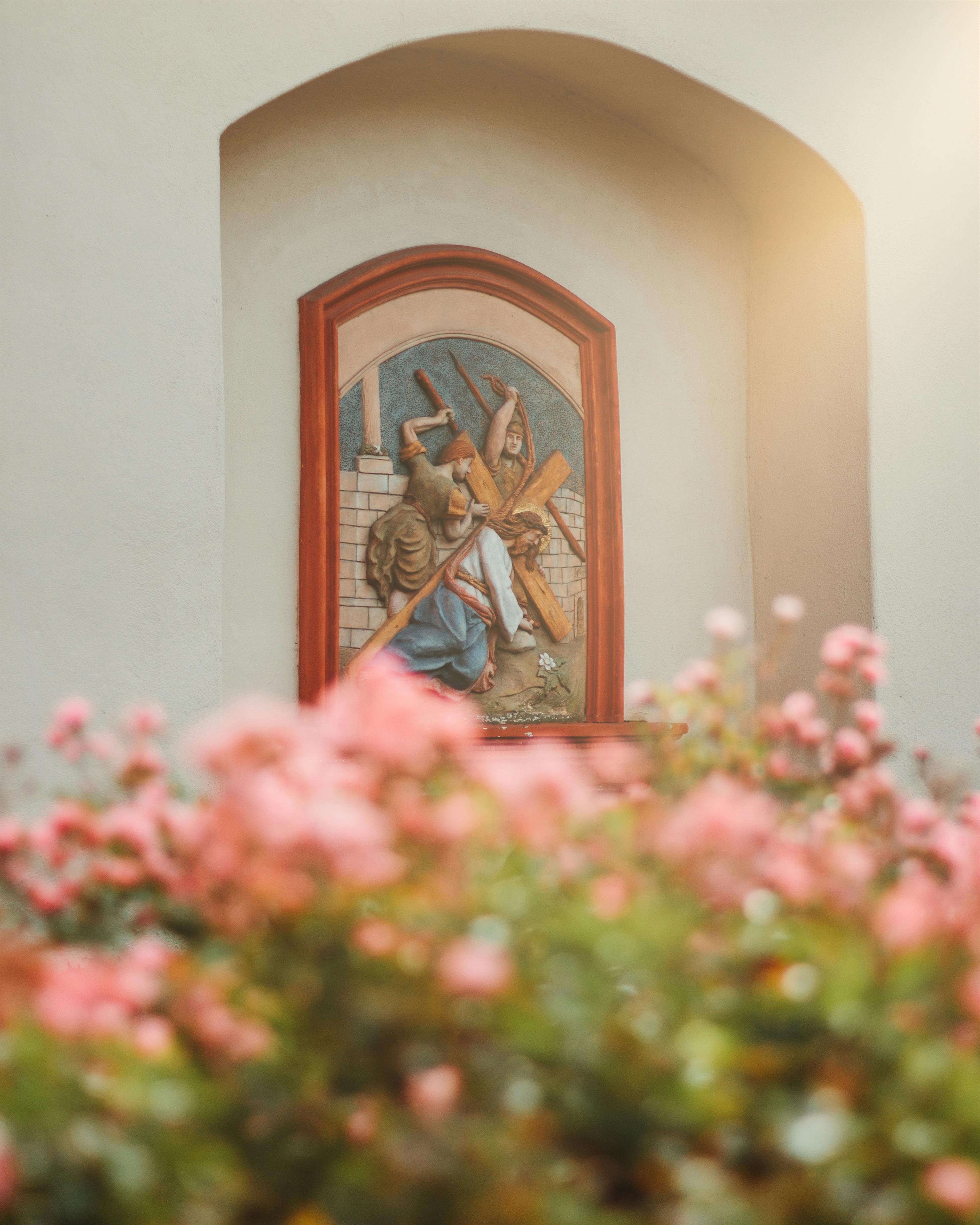 Emre Bas Photos, Download The BEST Free Emre Bas Stock Photos & HD Images