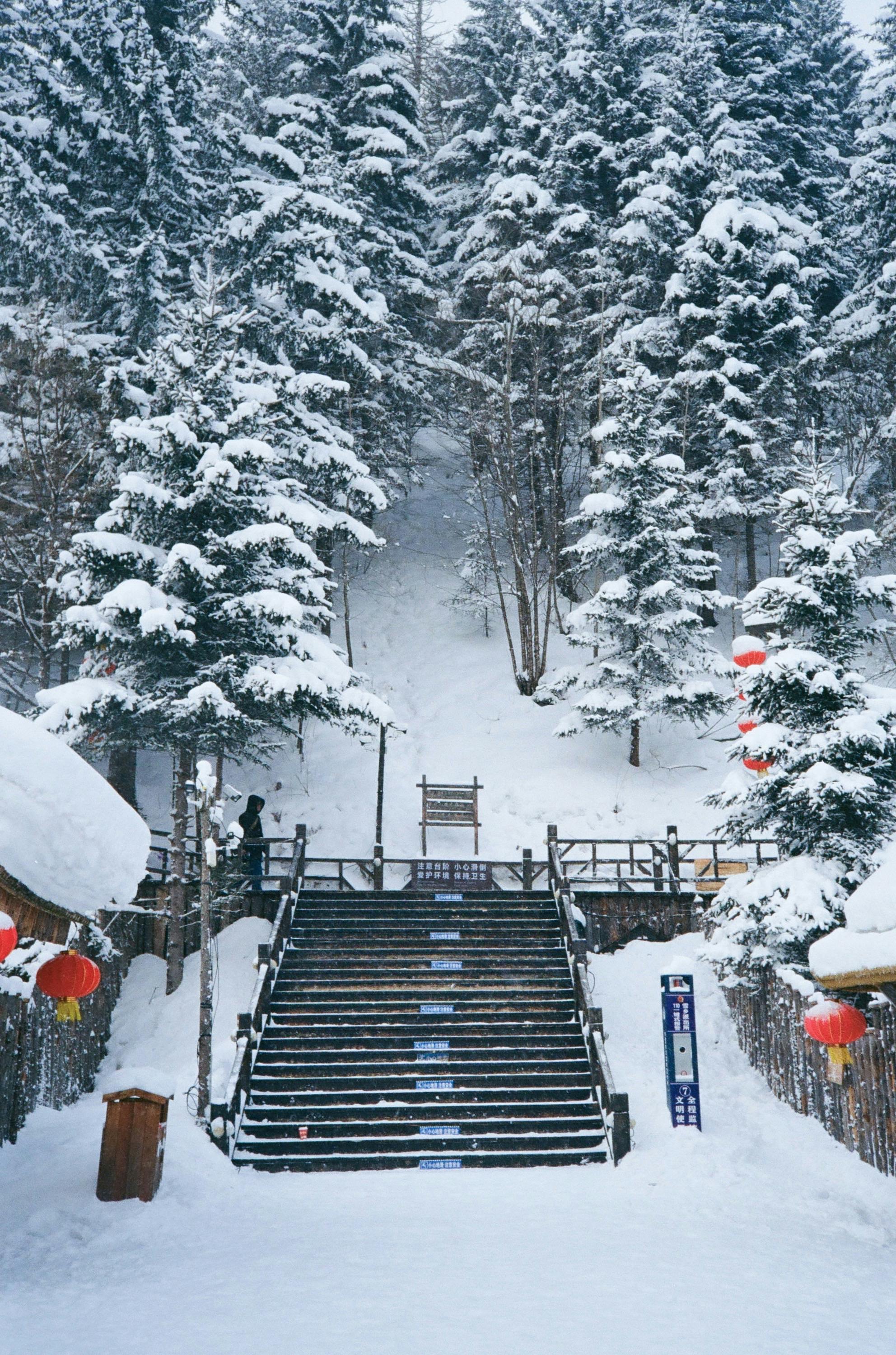Park in Snow · Free Stock Photo
