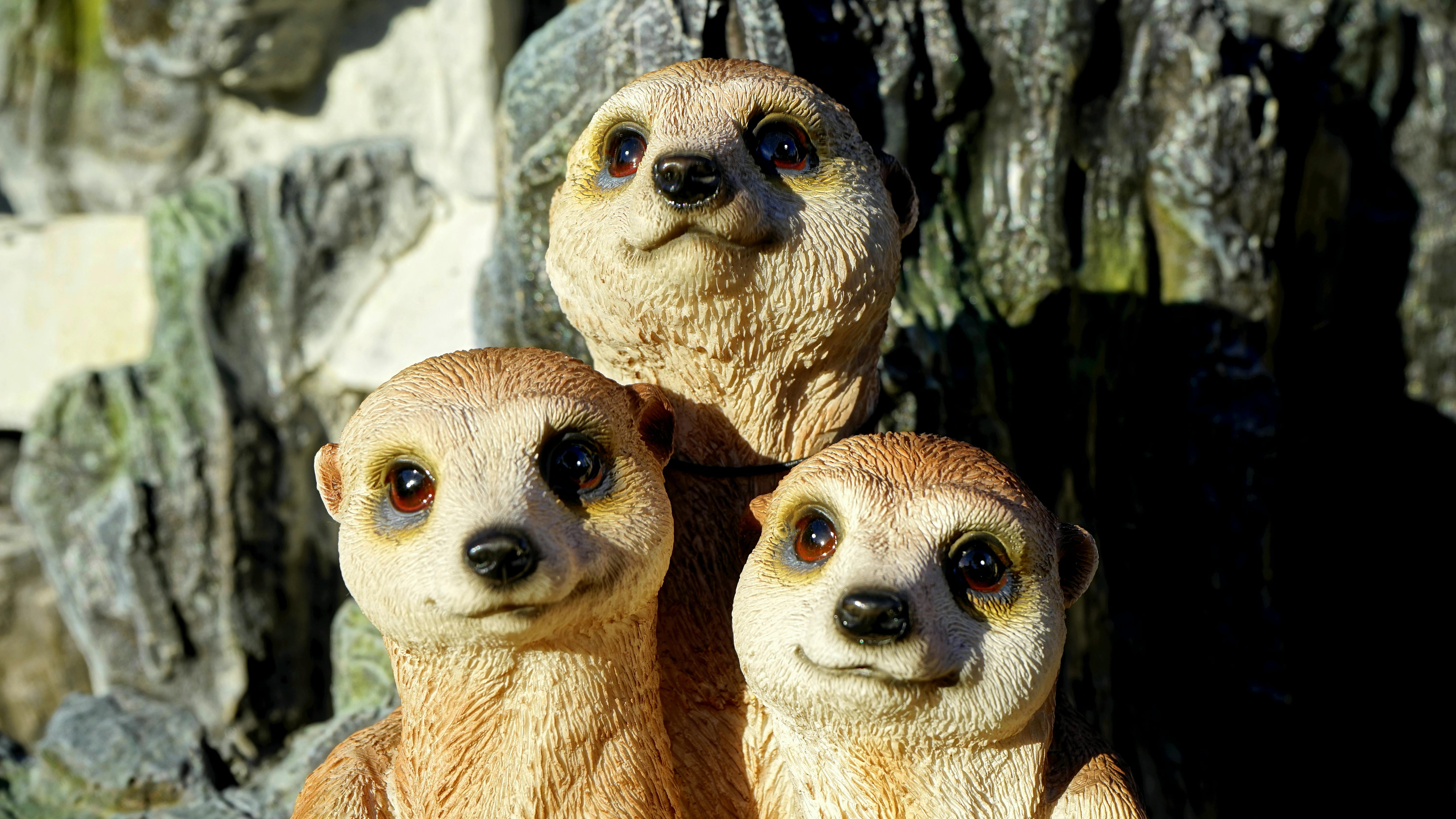 Figurine of Thee Meerkats · Free Stock Photo