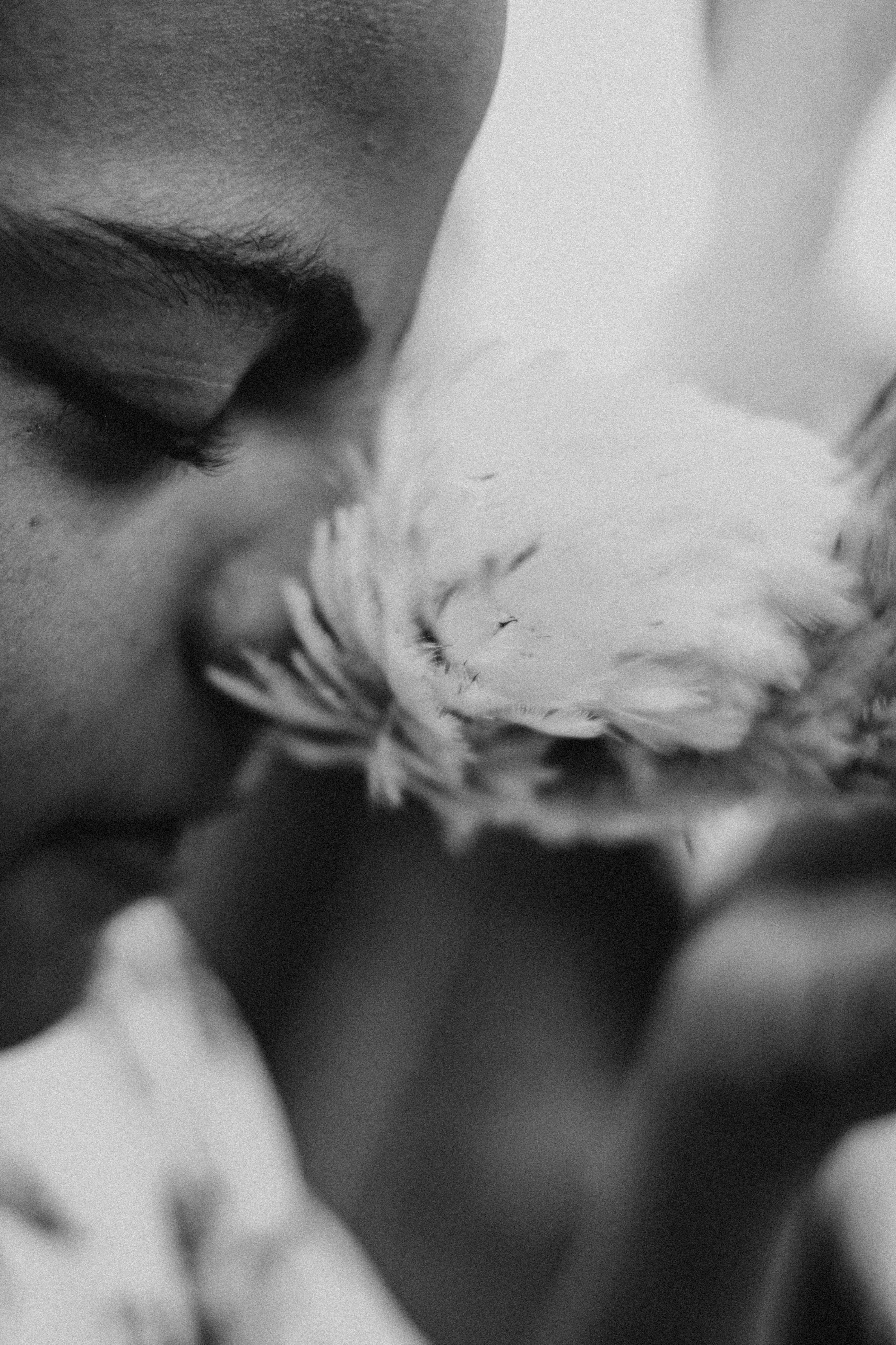 Child Holding Feathers Close to Face · Free Stock Photo